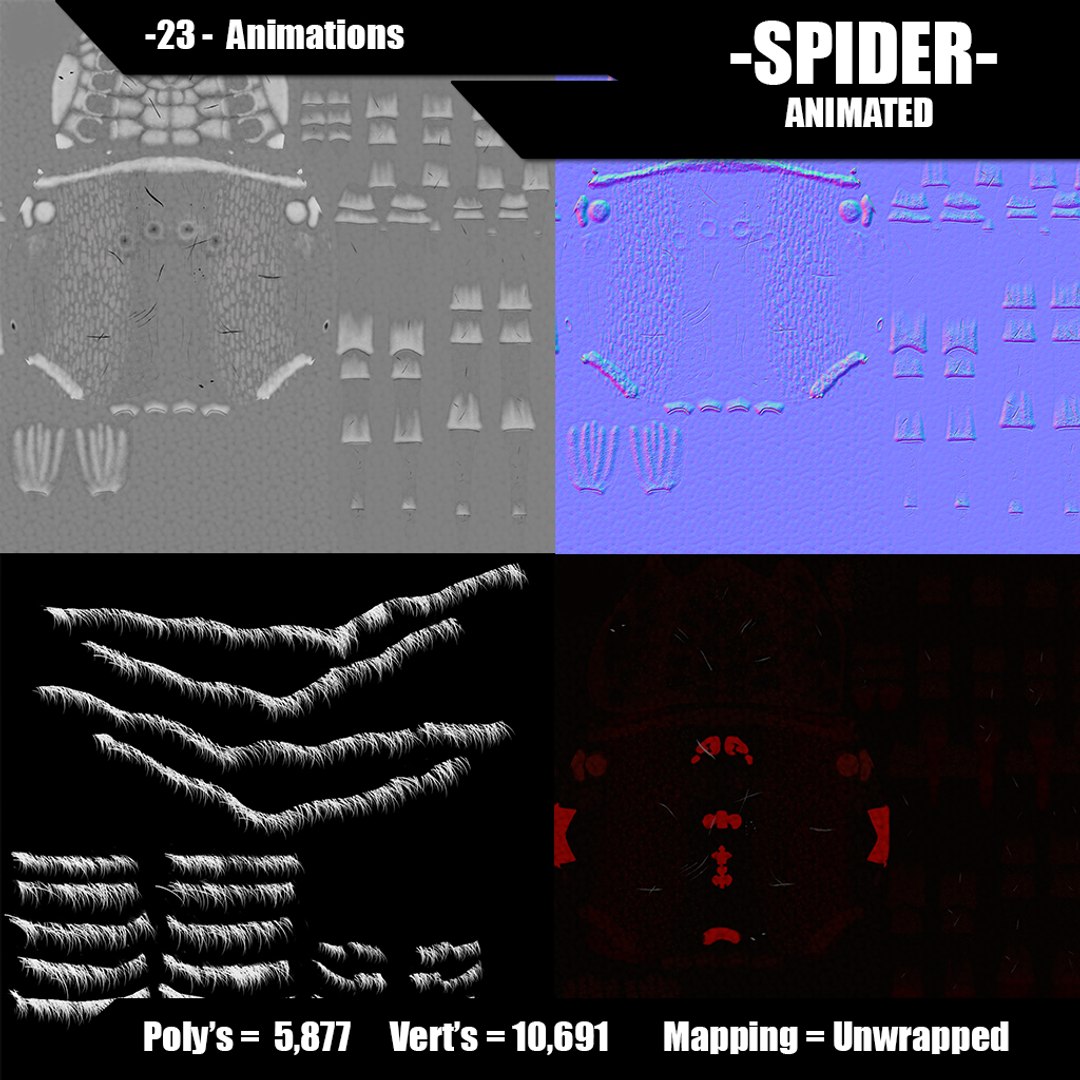 3D spider - TurboSquid 1073749