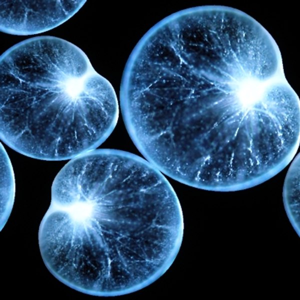 maya protist sea sparkle