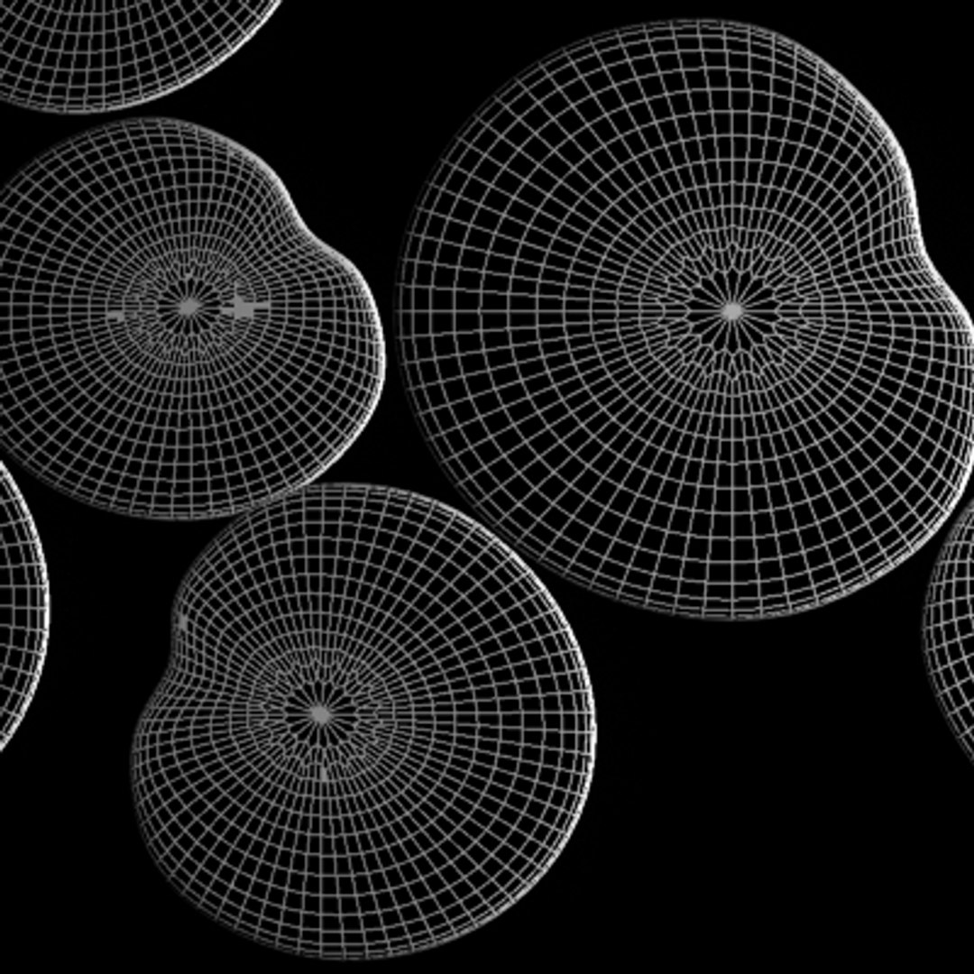 maya protist sea sparkle