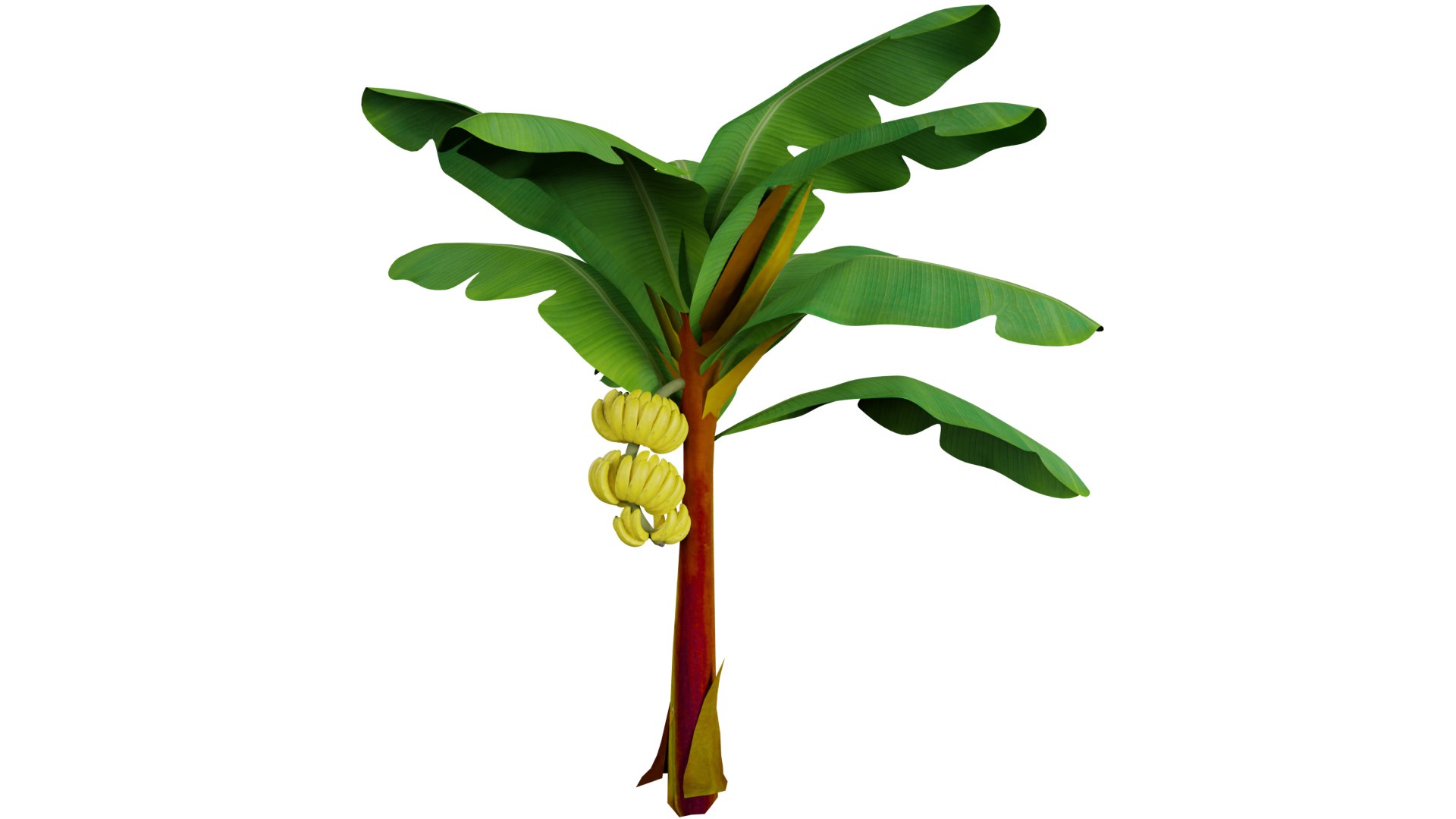 3D Banana Tree - TurboSquid 2232182