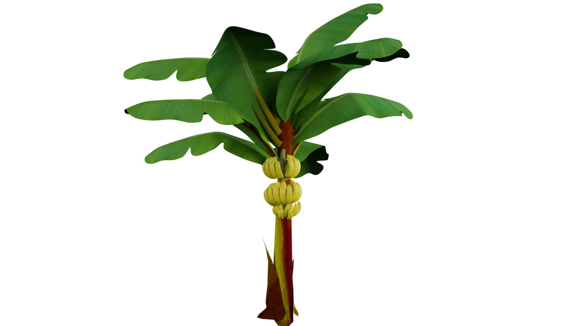 3D Banana Tree - TurboSquid 2232182