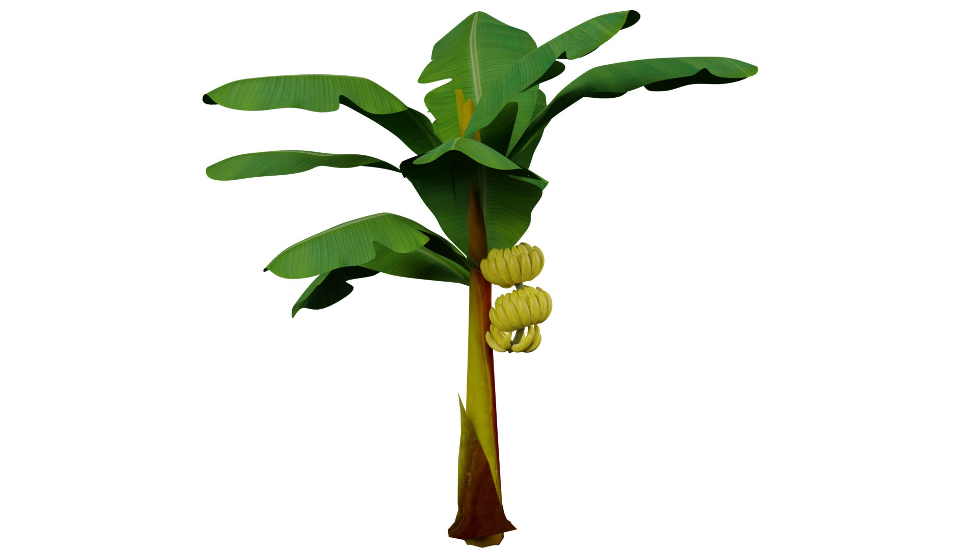3D Banana Tree - TurboSquid 2232182