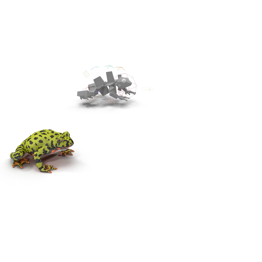 Toad Frog Rigged Max