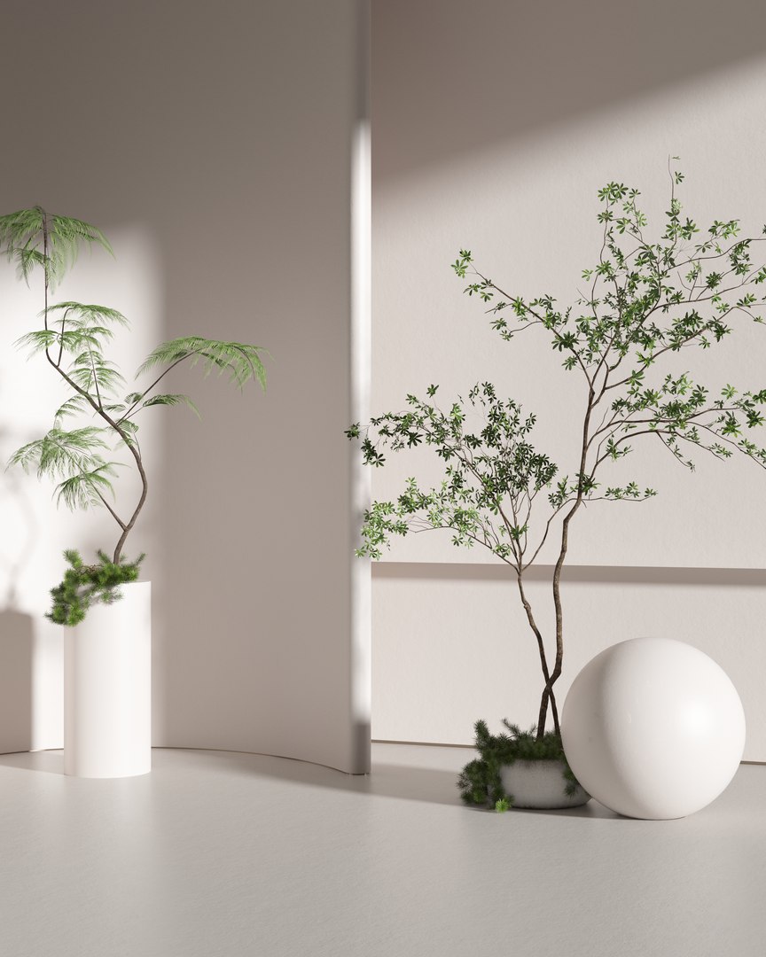 Potted Green Plants 3D Model - TurboSquid 2152287