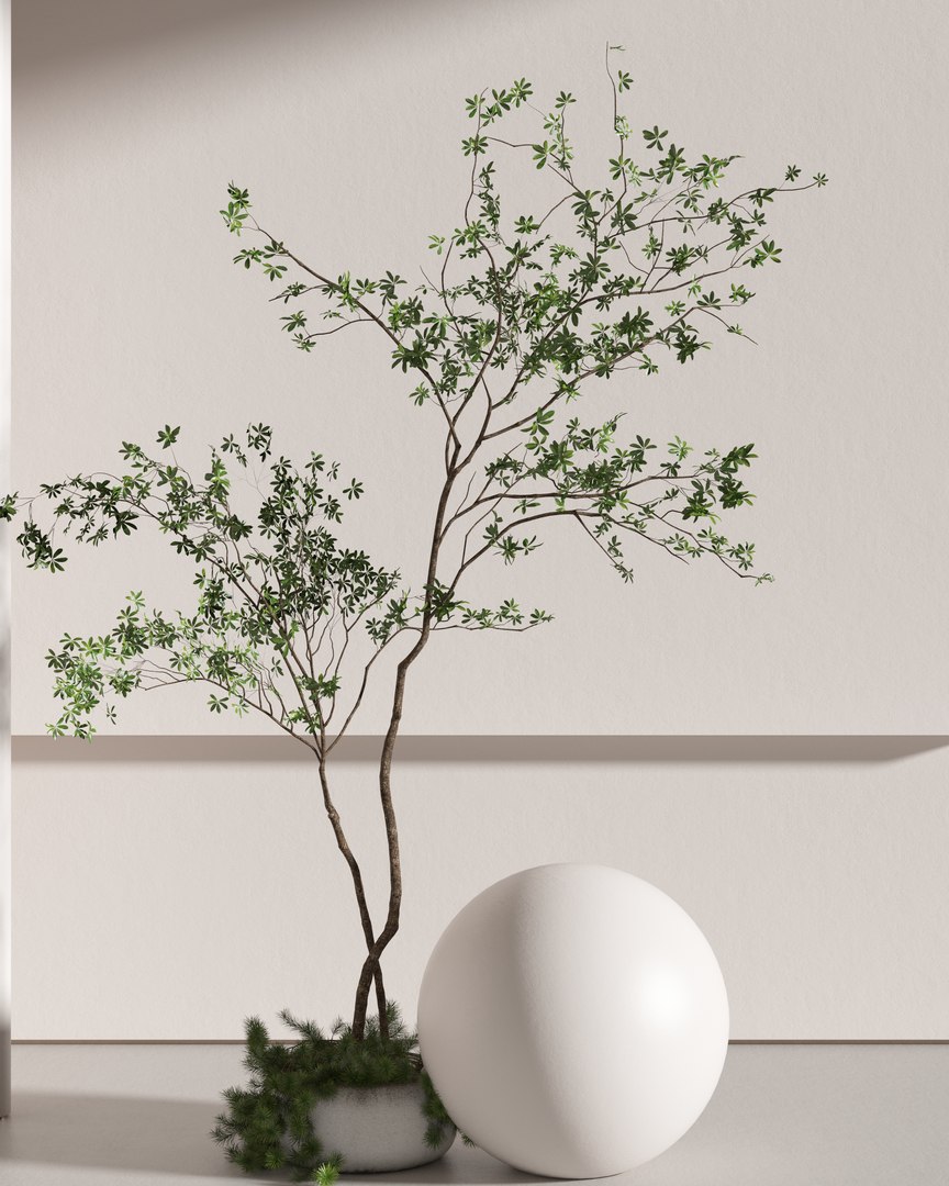 Potted Green Plants 3D Model - TurboSquid 2152287