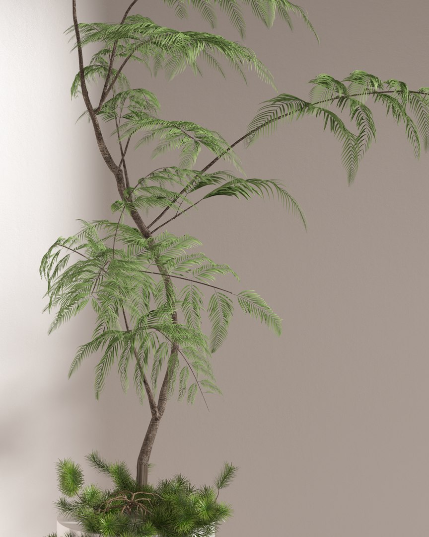 Potted Green Plants 3D Model - TurboSquid 2152287