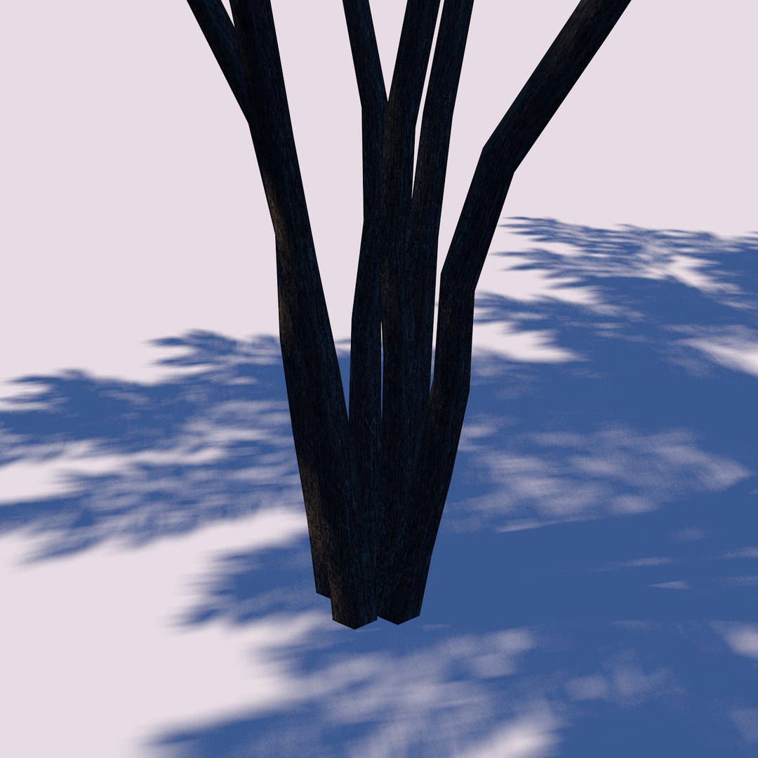 3D Aralia Tree Model - TurboSquid 1282169
