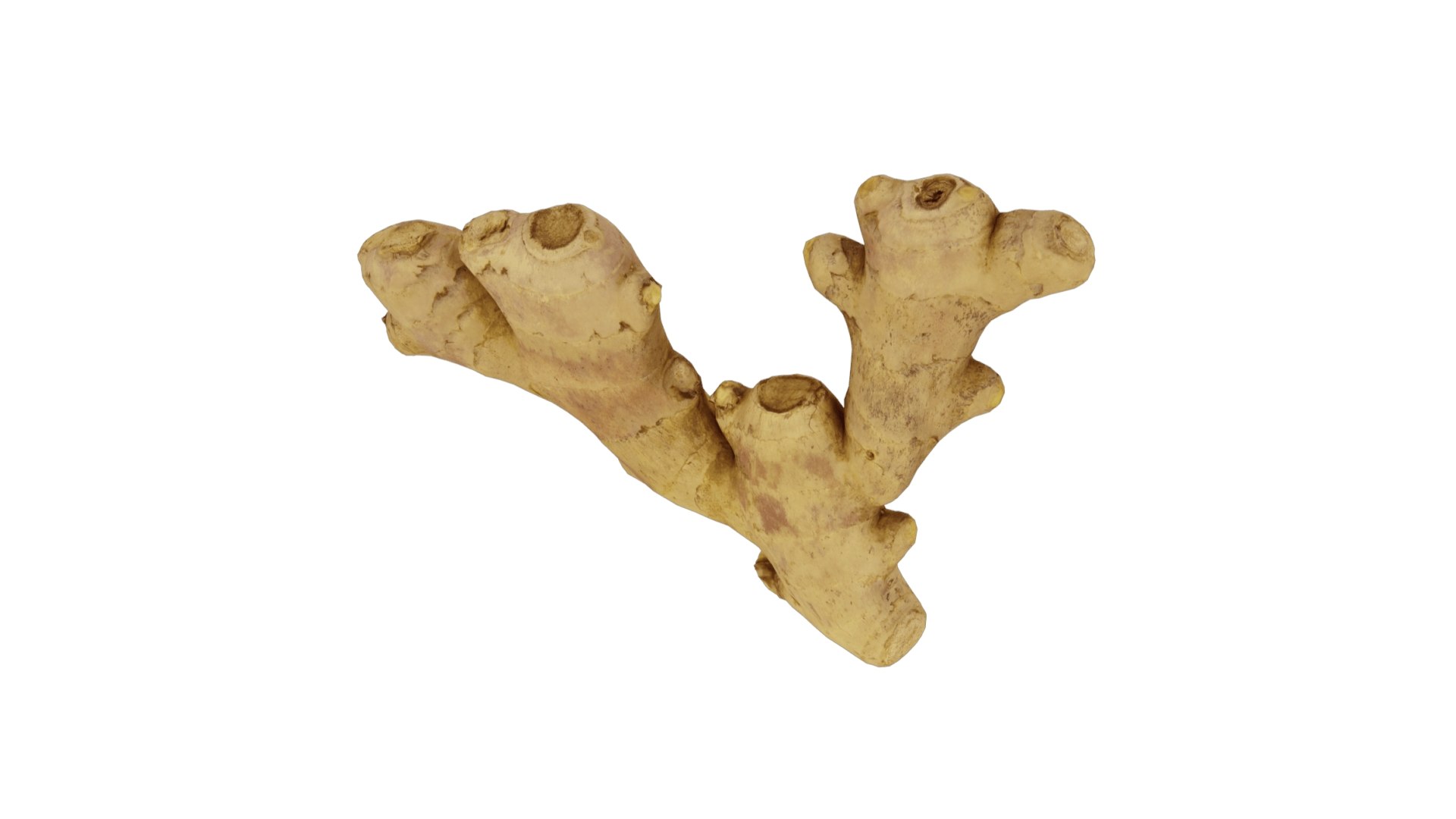 3D model Fresh Ginger Root - Real-Time 3D Scanned - TurboSquid 1734098