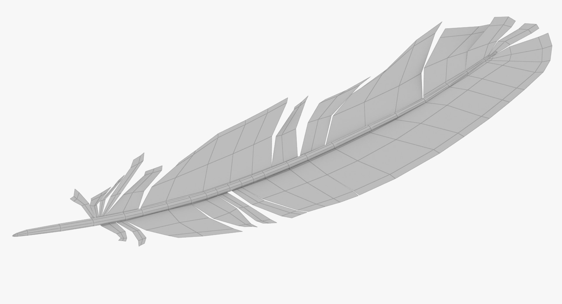 Feather Modelled Model - TurboSquid 1276595