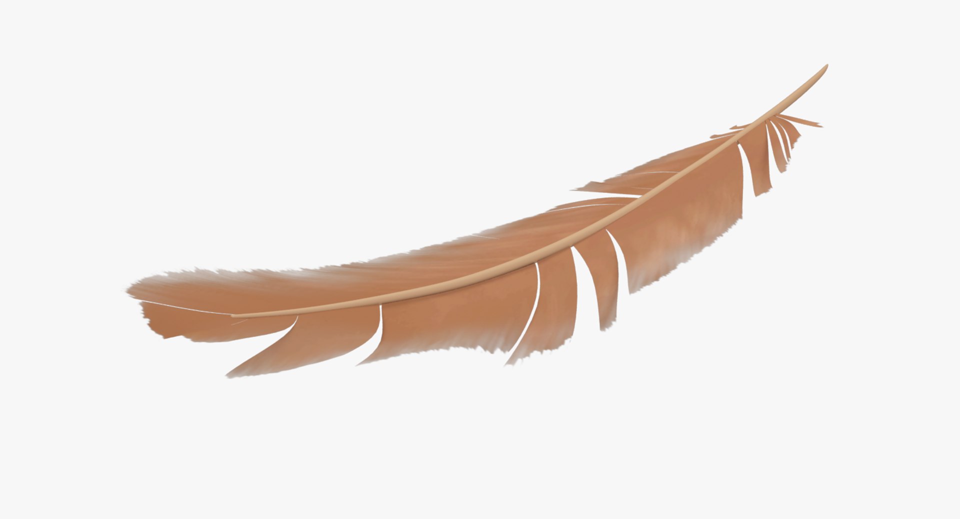 Feather Modelled Model - TurboSquid 1276595
