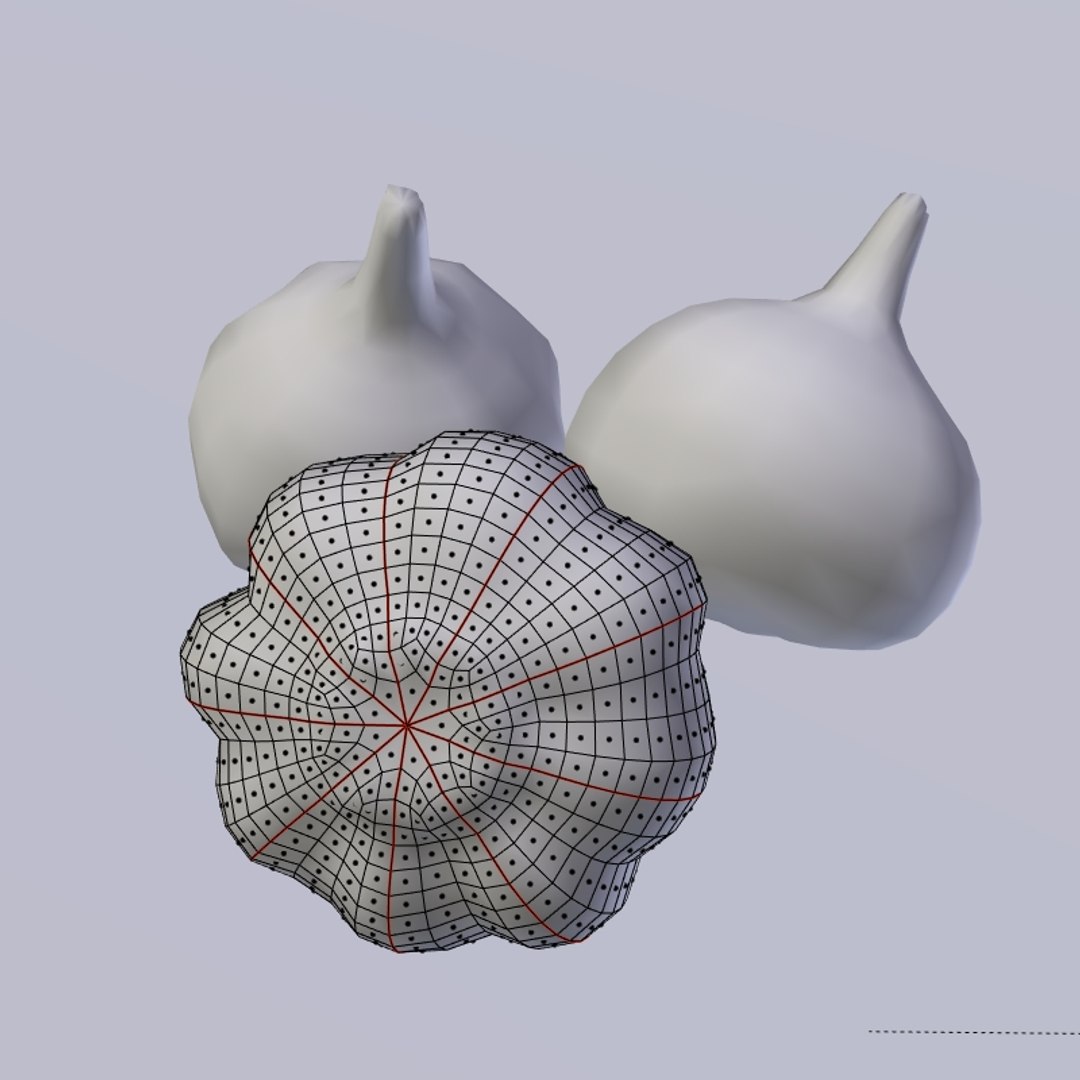 3D Garlic Realistic - TurboSquid 1160166