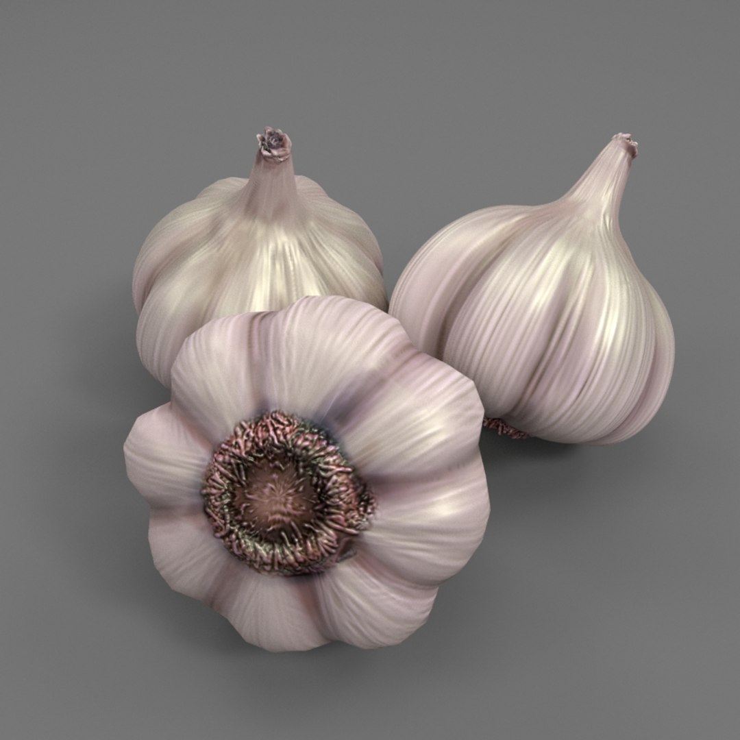 3D Garlic Realistic - TurboSquid 1160166