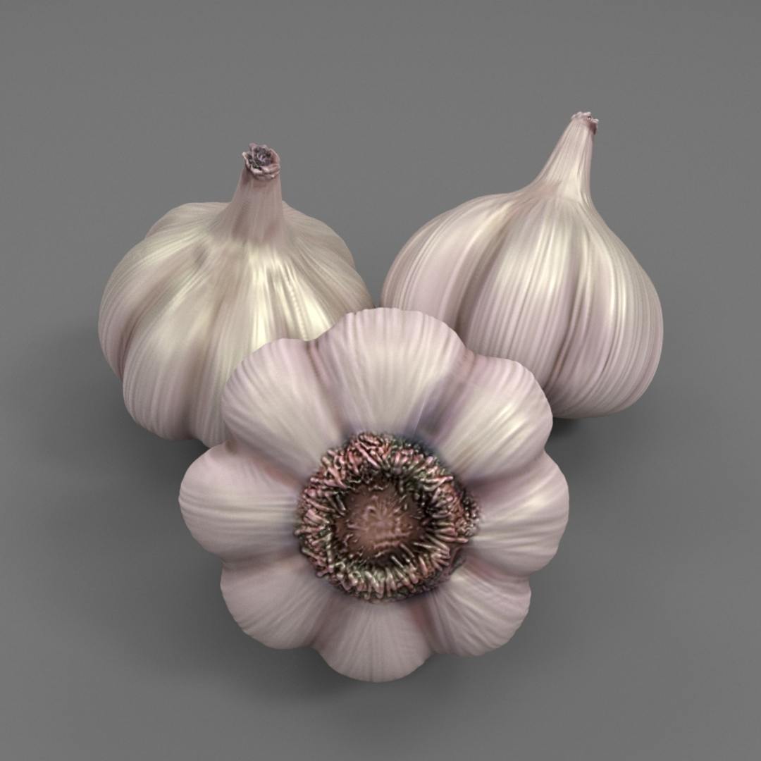 3D Garlic Realistic - TurboSquid 1160166