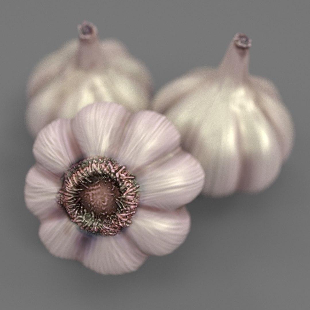 3D Garlic Realistic - TurboSquid 1160166
