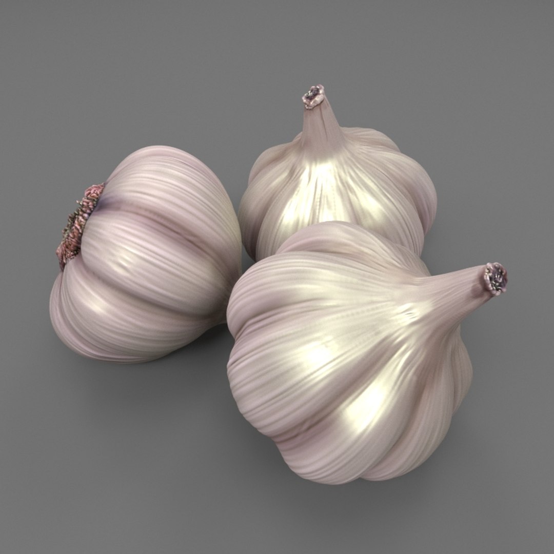3D Garlic Realistic - TurboSquid 1160166