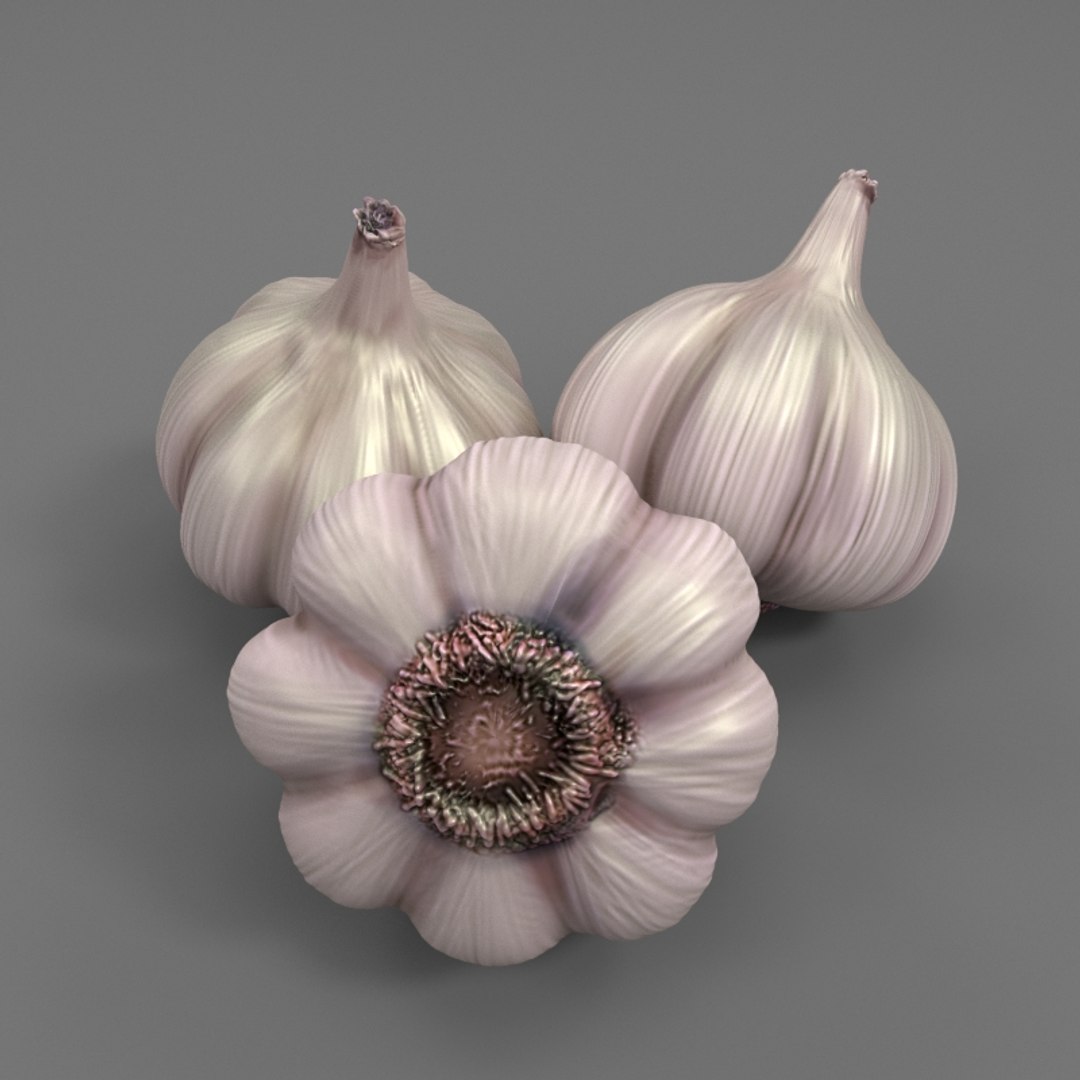 3D Garlic Realistic - TurboSquid 1160166