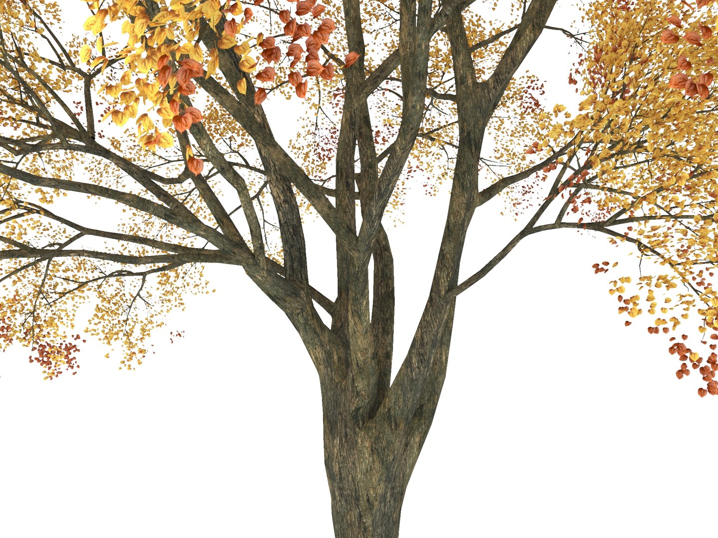 Tree Leaves 3D - TurboSquid 1338332