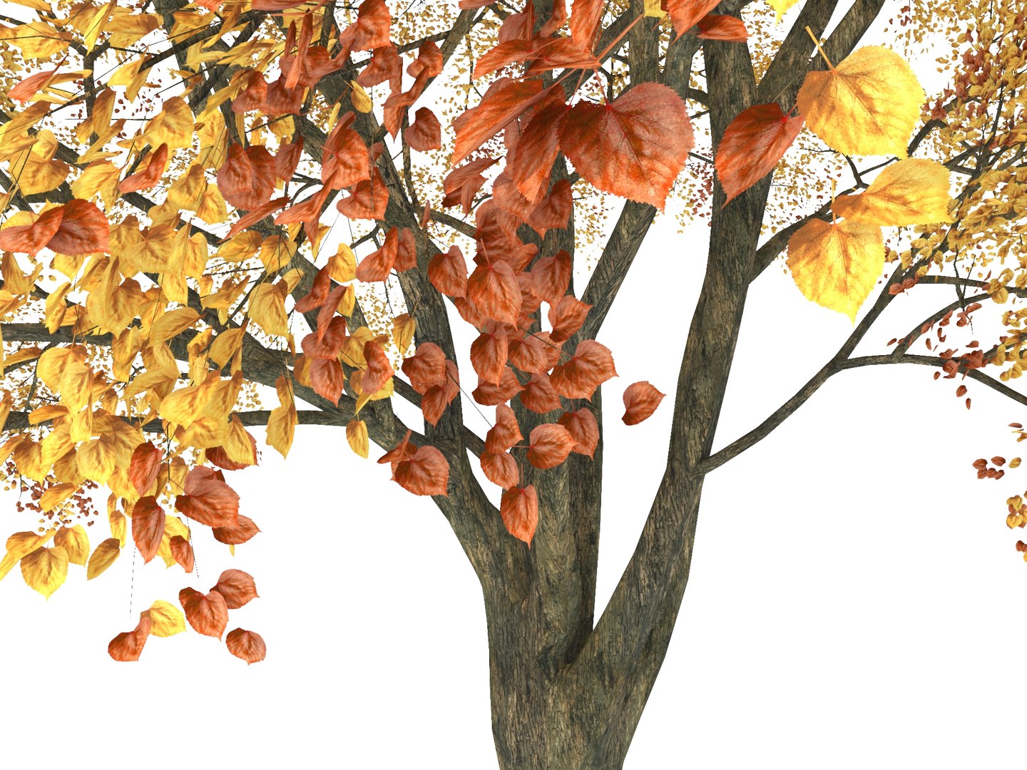Tree Leaves 3D - TurboSquid 1338332