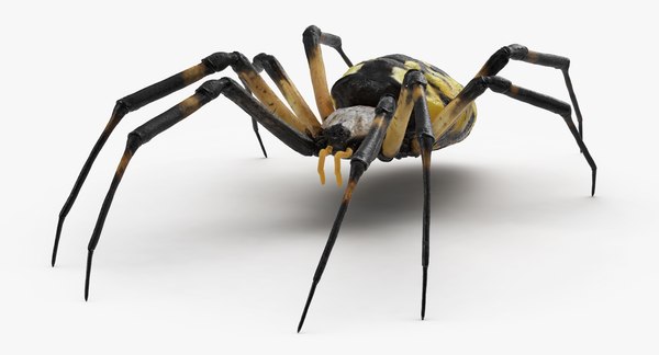 Insects big 3D model - TurboSquid 1227504