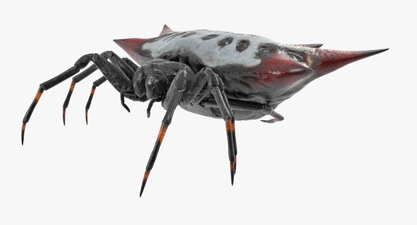 Insects big 3D model - TurboSquid 1227504