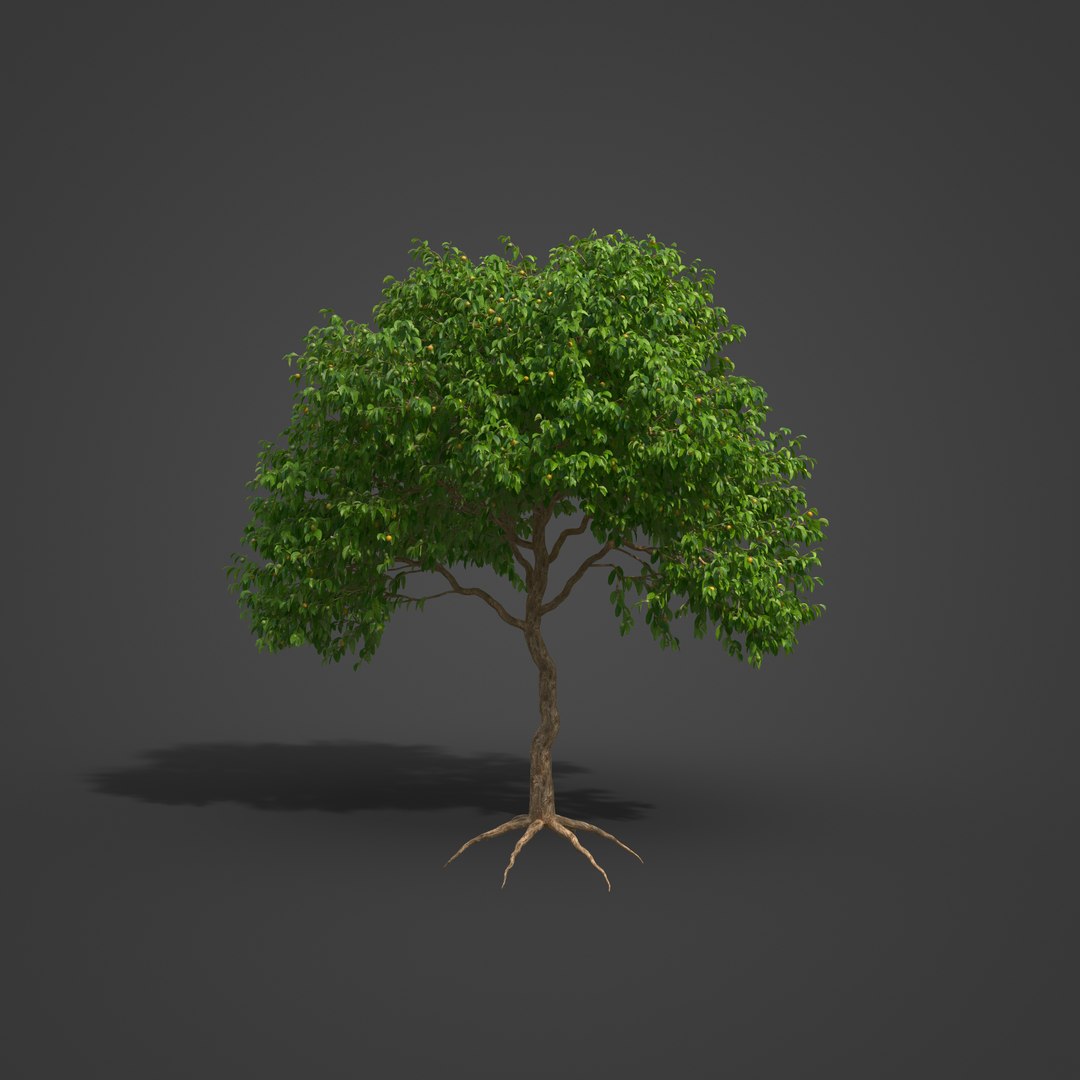 2021 PBR Guava Collection - Psidium Guayava 3D - TurboSquid 1804631