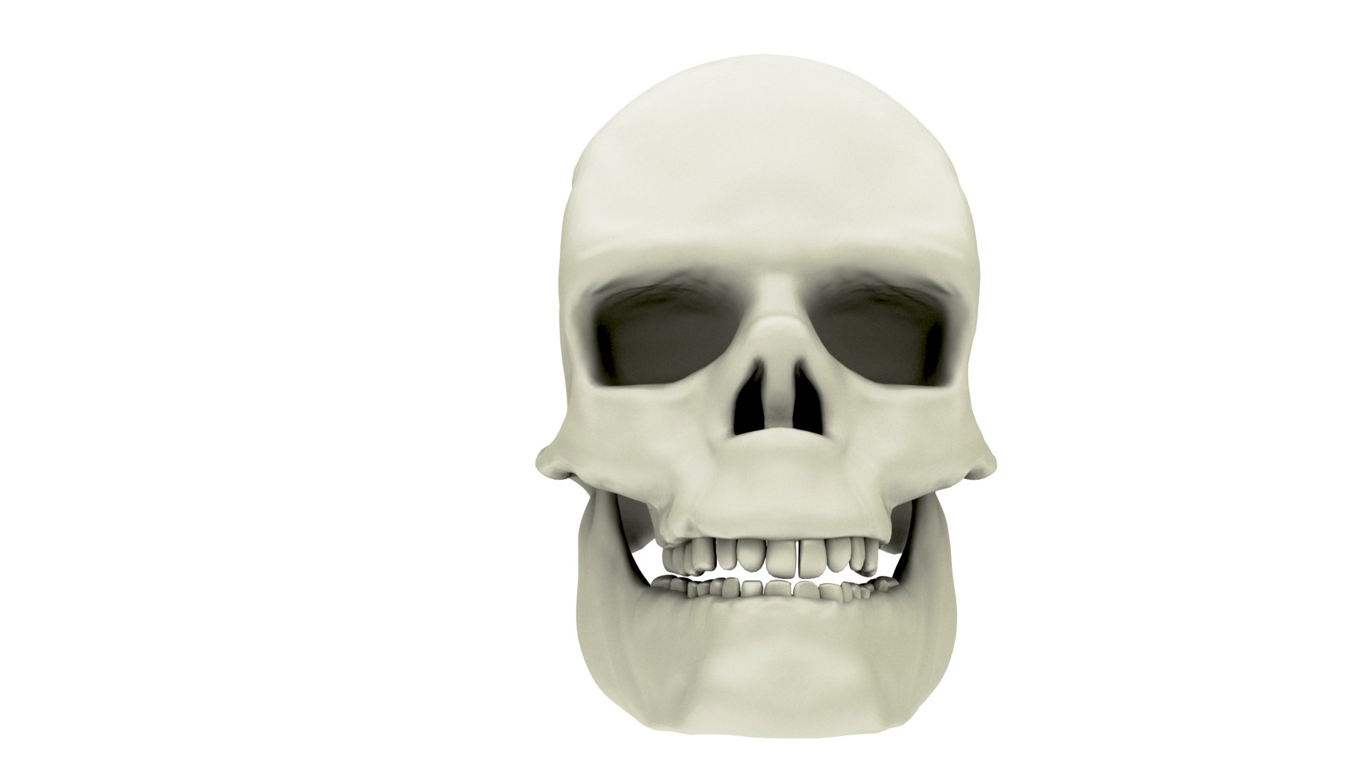 3D skull science anatomy model - TurboSquid 1460930