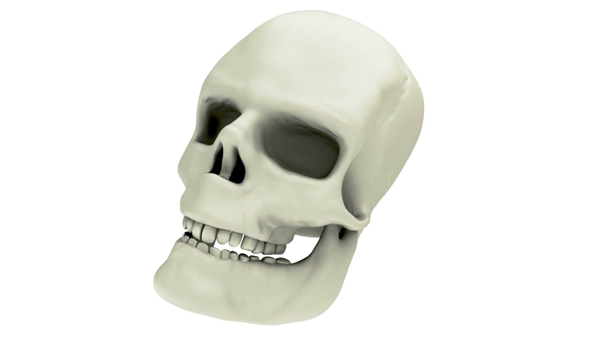 3D skull science anatomy model - TurboSquid 1460930