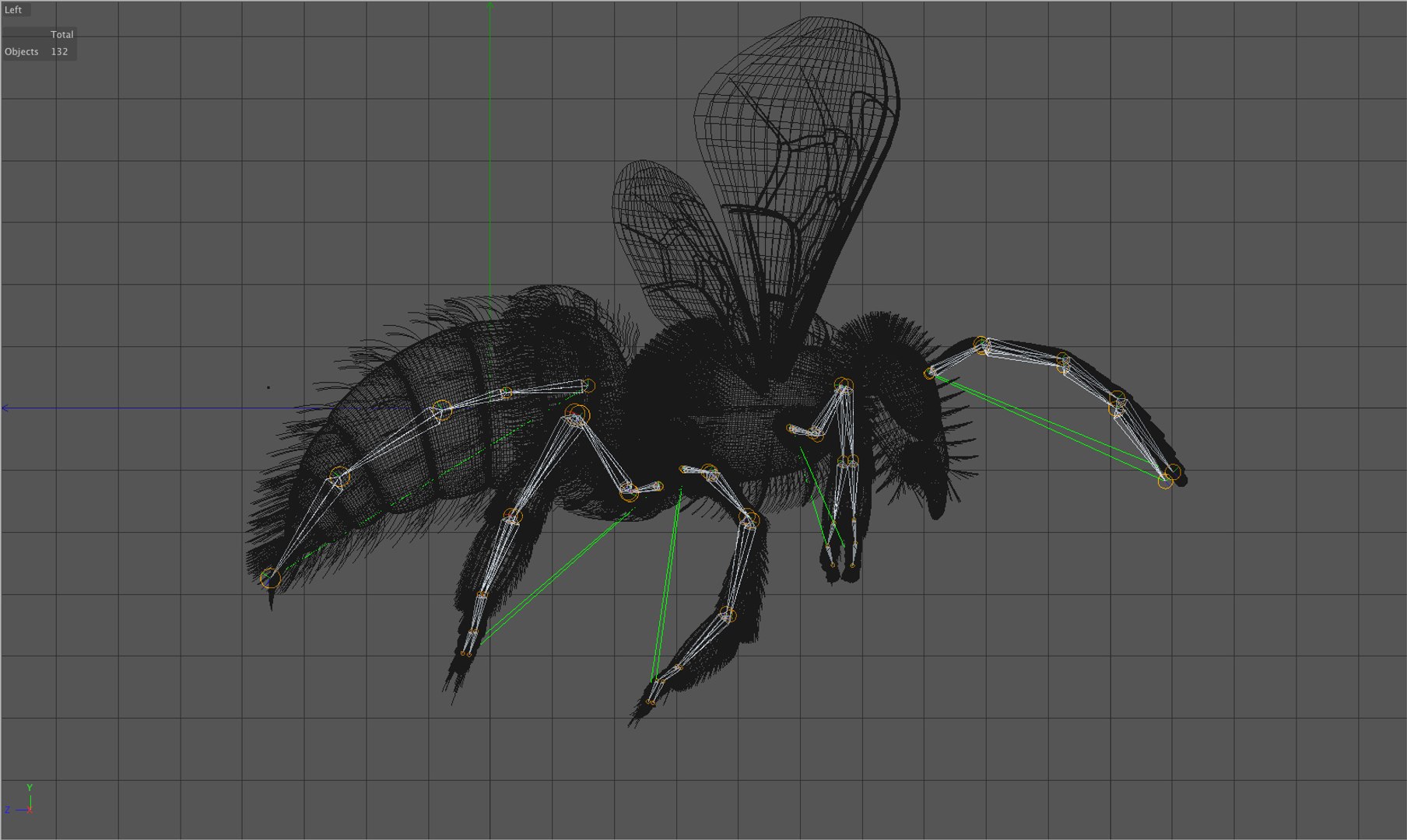 3d Model Of Bee Animation