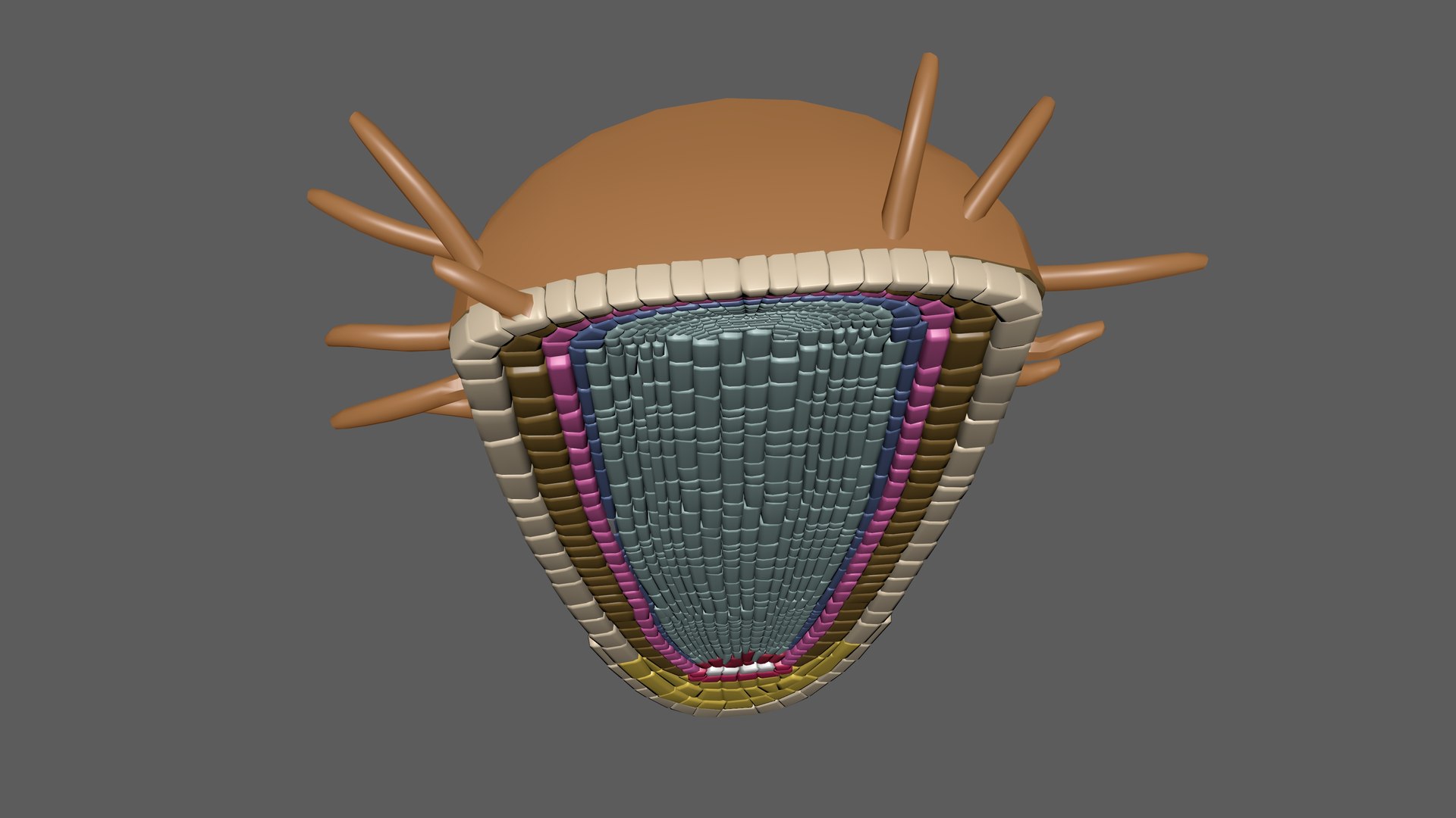 3D Model Root Hair Cell - TurboSquid 2194631