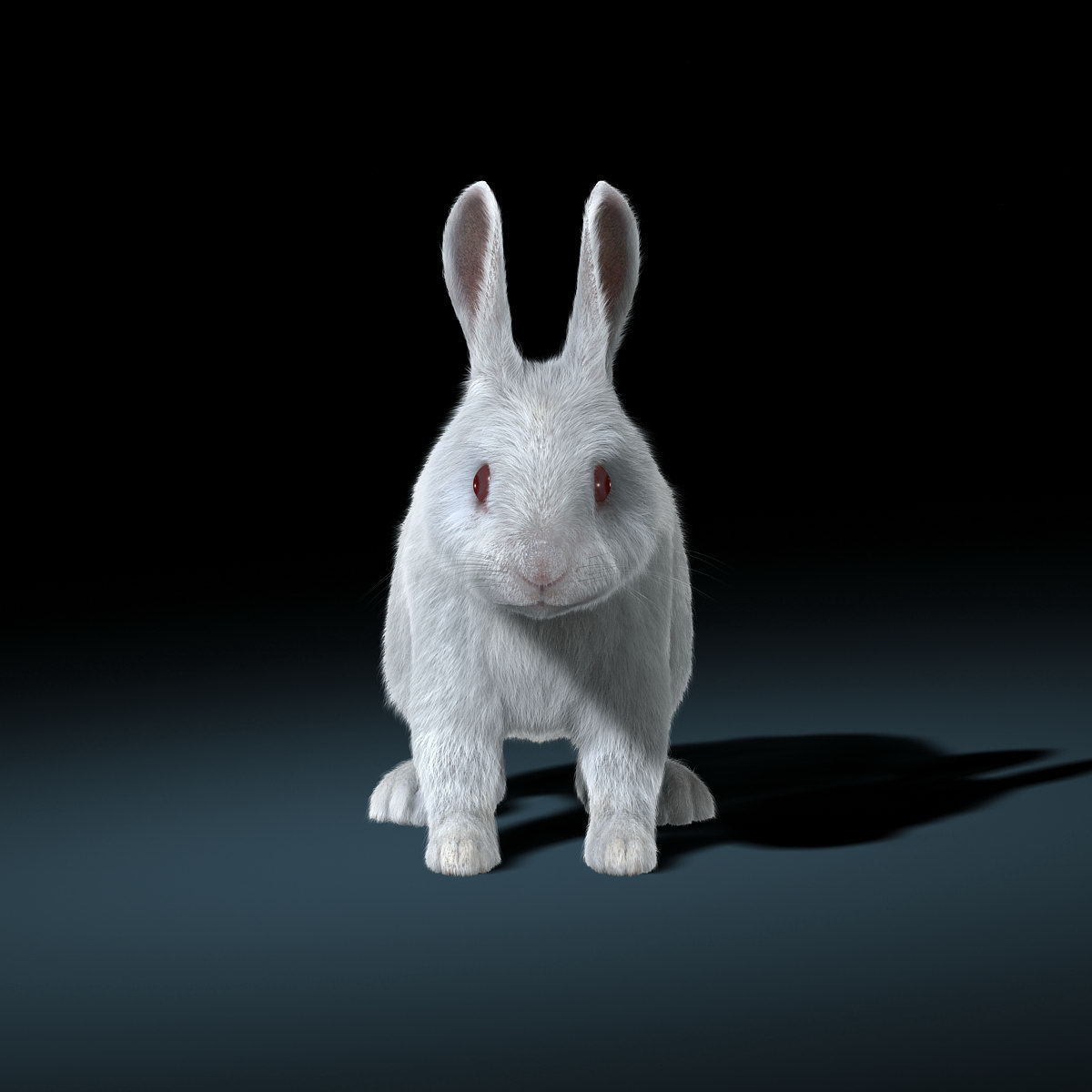 3d model rabbits fur