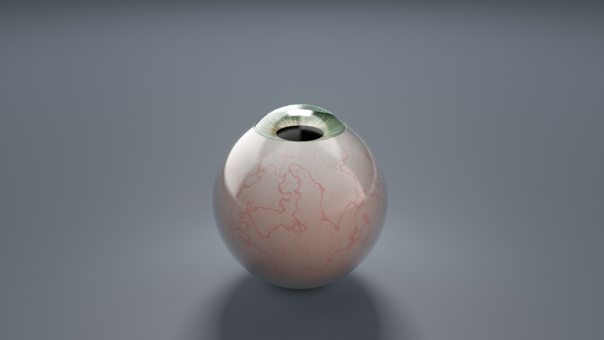 Eyeball Eye Ball 3D Model - TurboSquid 1677538