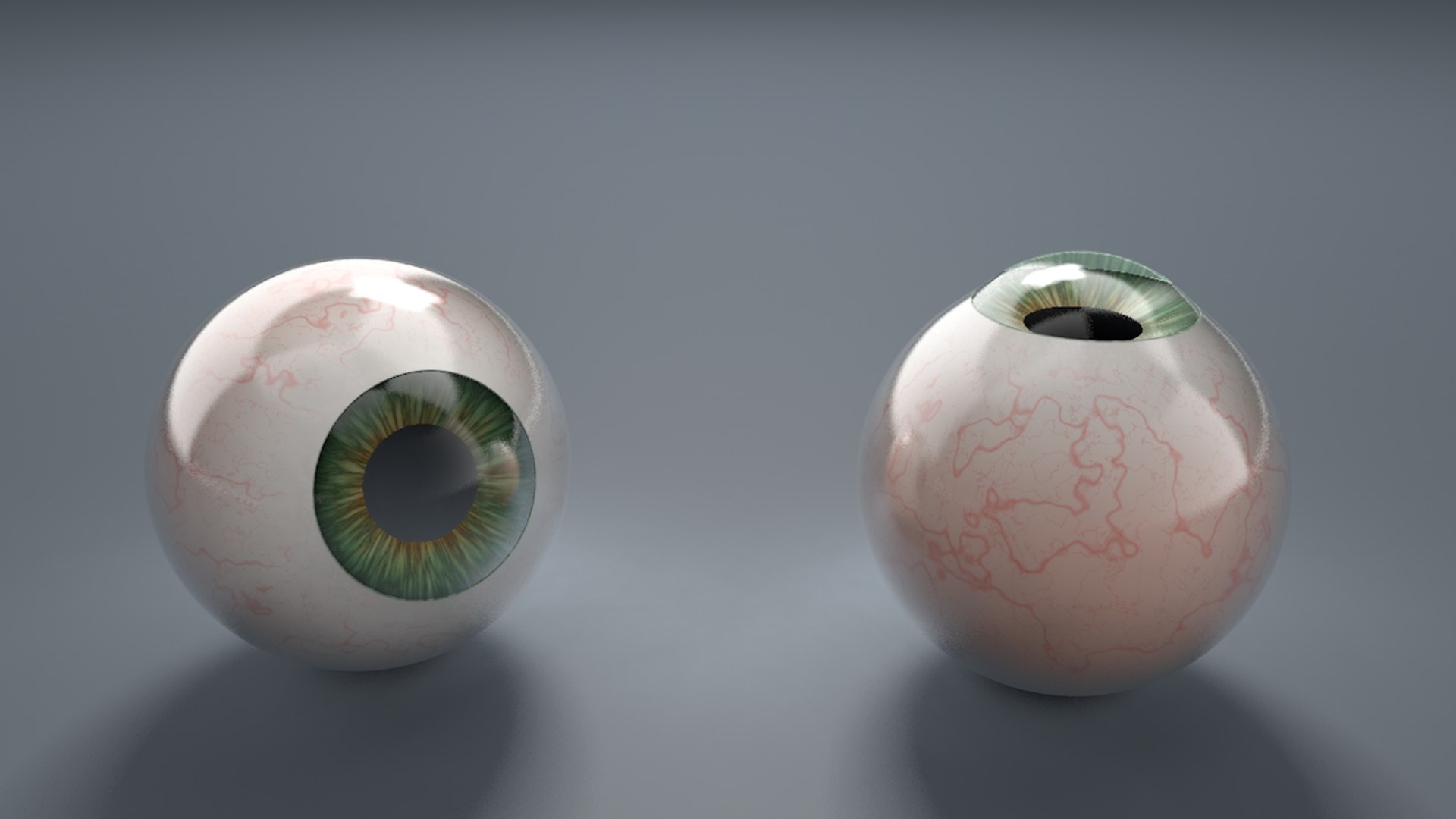 Eyeball Eye Ball 3D Model - TurboSquid 1677538
