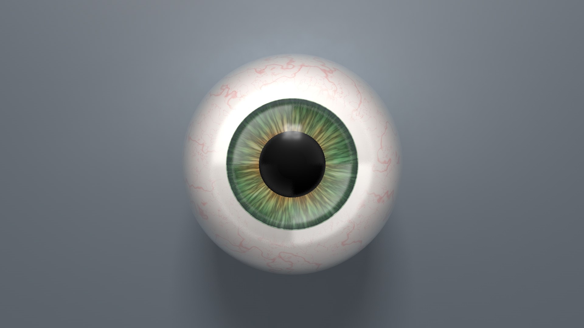 Eyeball Eye Ball 3D Model - TurboSquid 1677538