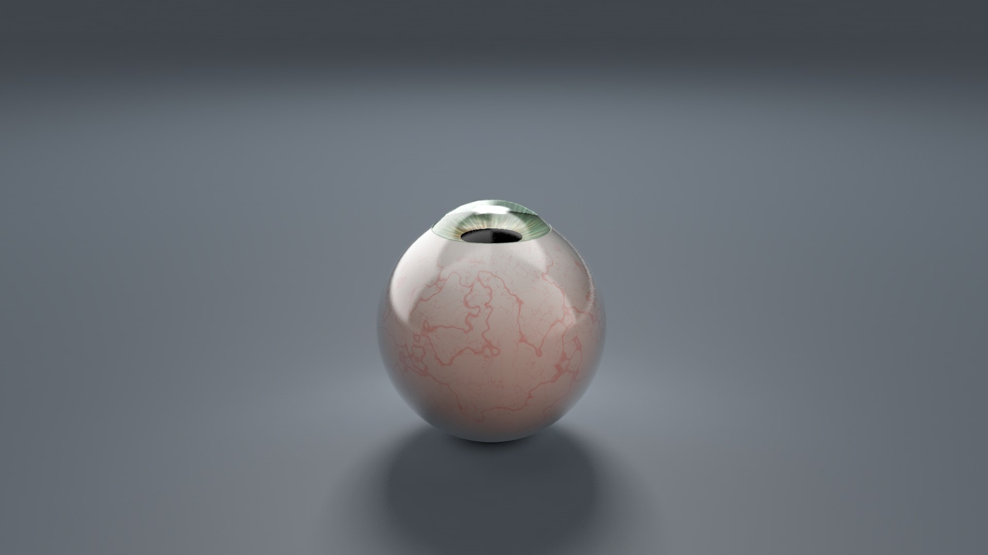 Eyeball Eye Ball 3D Model - TurboSquid 1677538