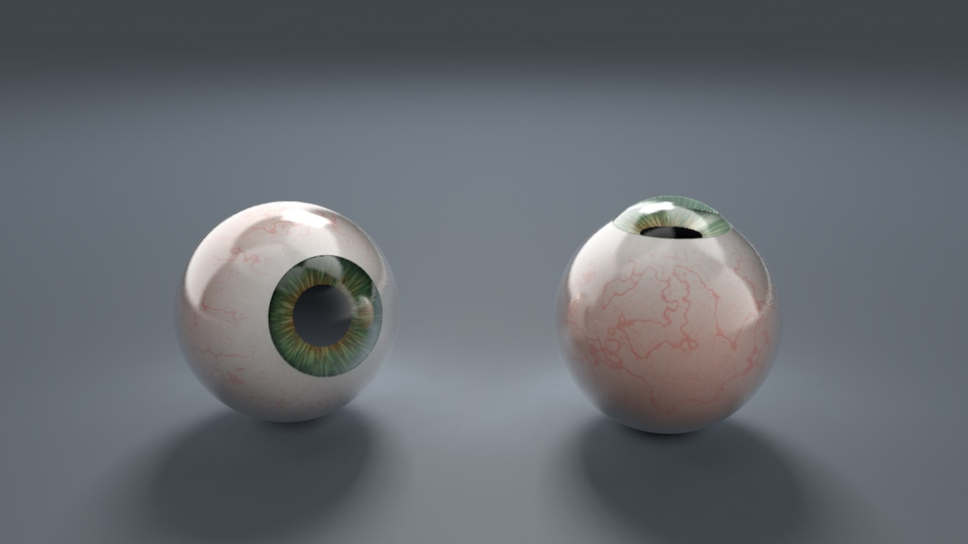 Eyeball Eye Ball 3D Model - TurboSquid 1677538