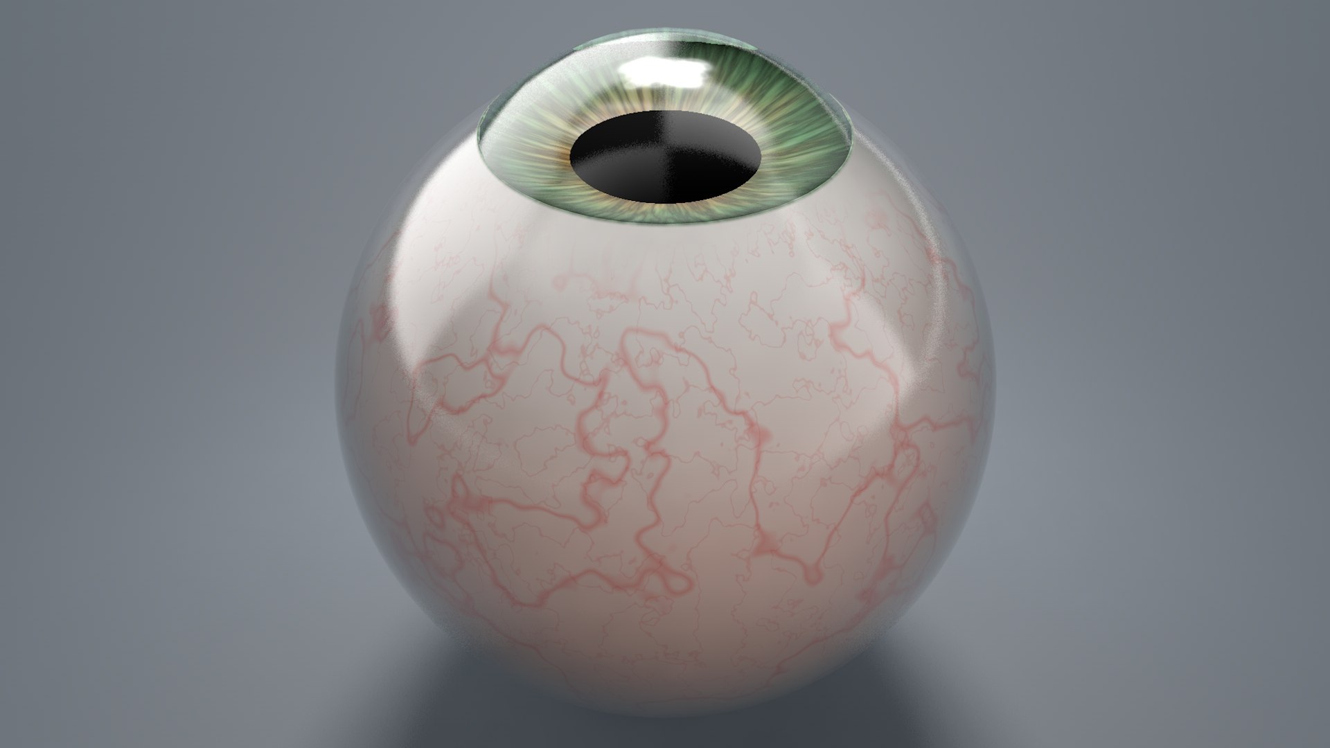 Eyeball Eye Ball 3D Model - TurboSquid 1677538