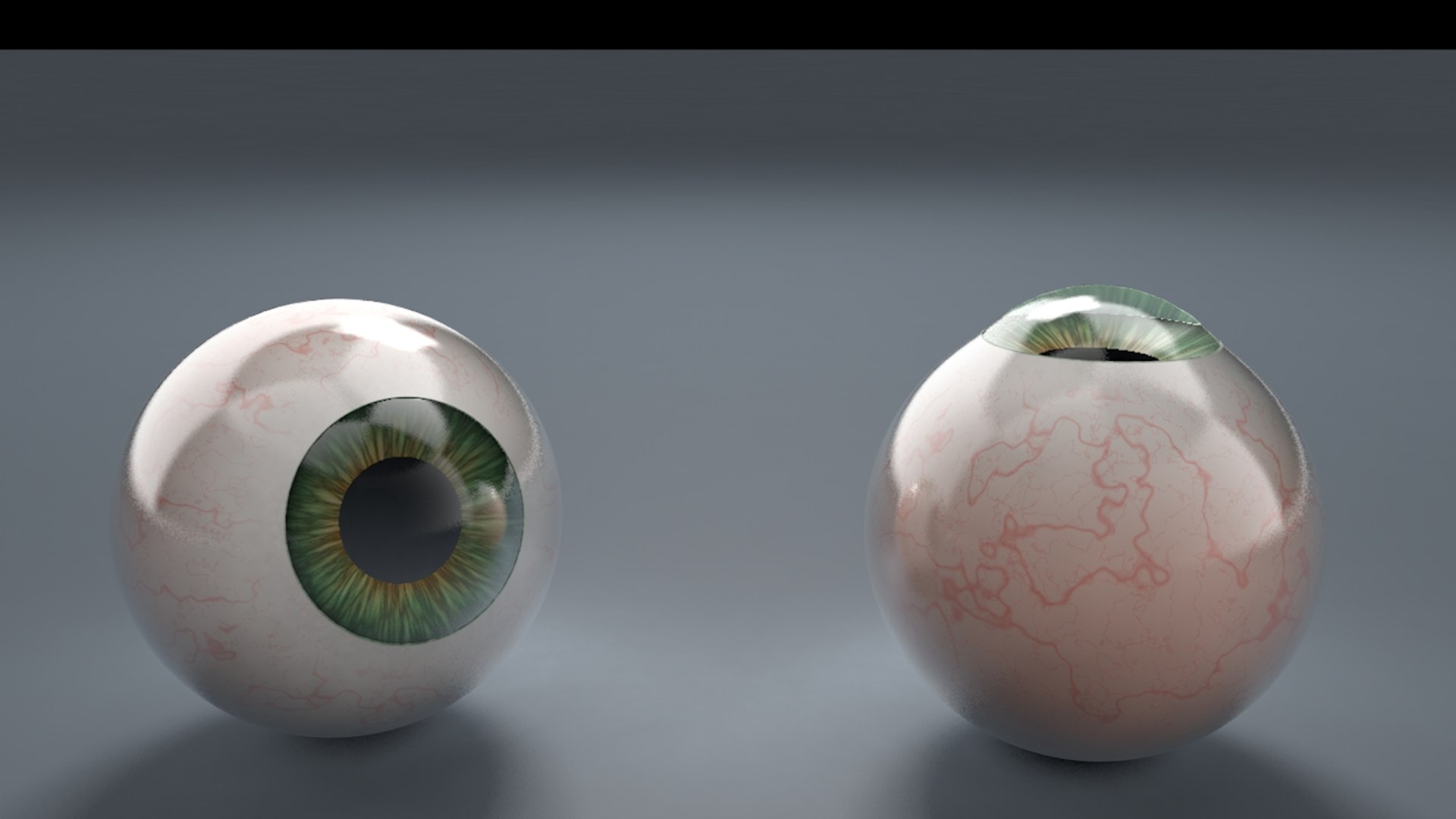 Eyeball Eye Ball 3D Model - TurboSquid 1677538
