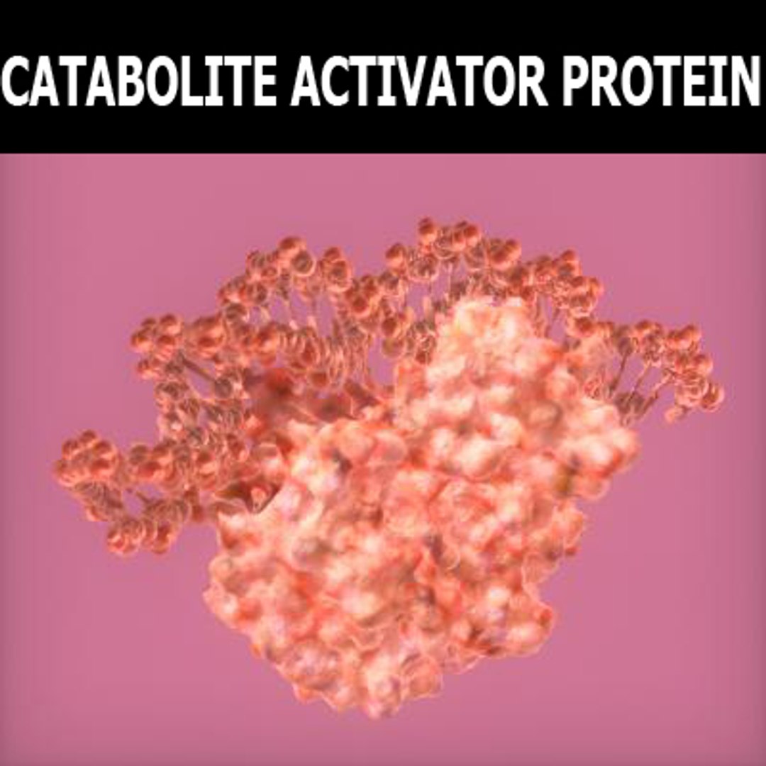 Max Set 20 Proteins