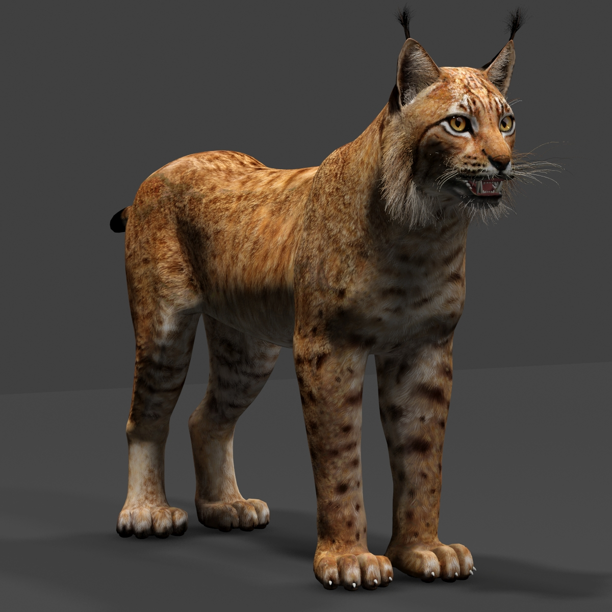 max lynx eurasian