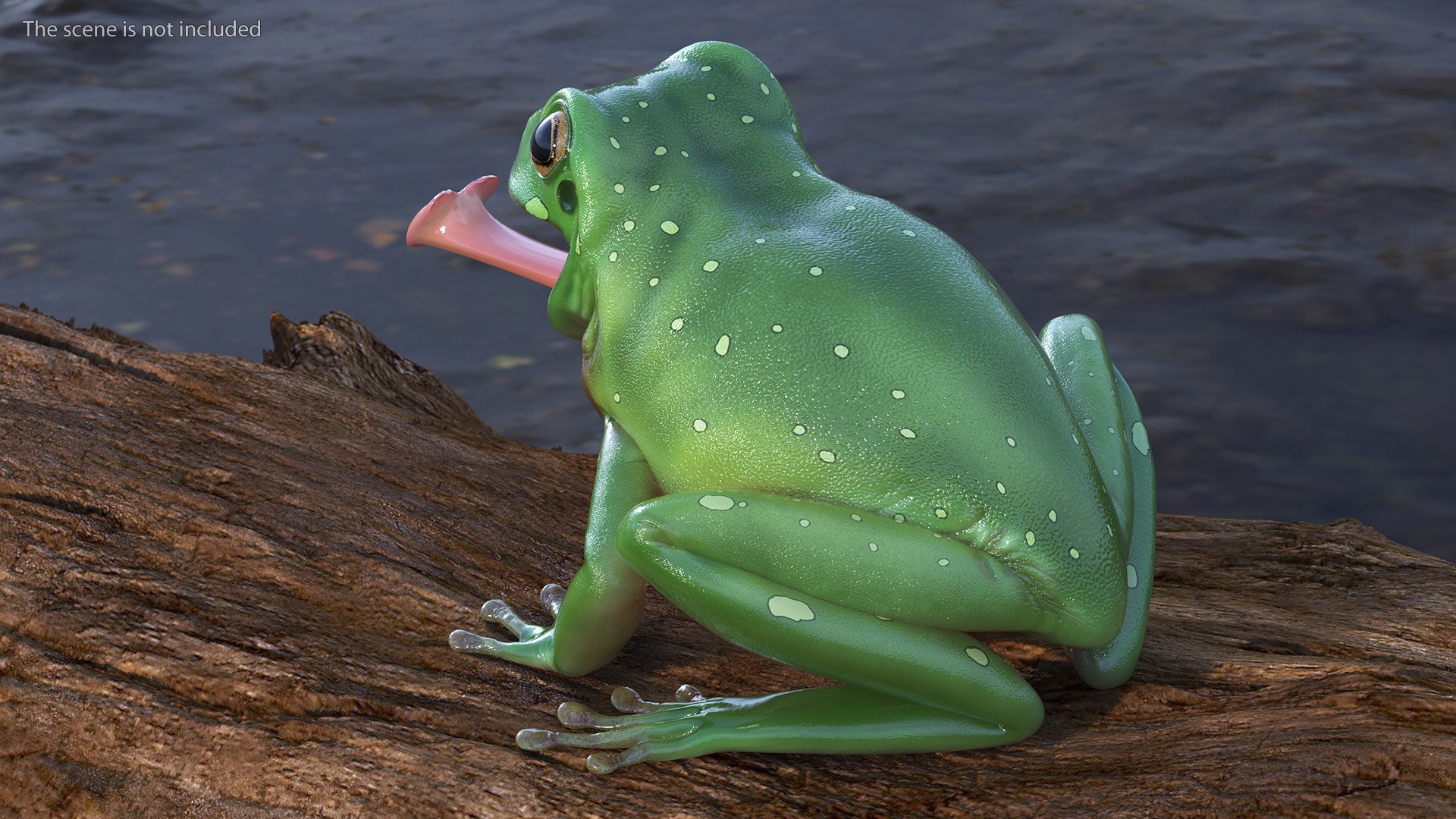 3D Australian Green Tree Frog With Extended Tongue Model - TurboSquid ...
