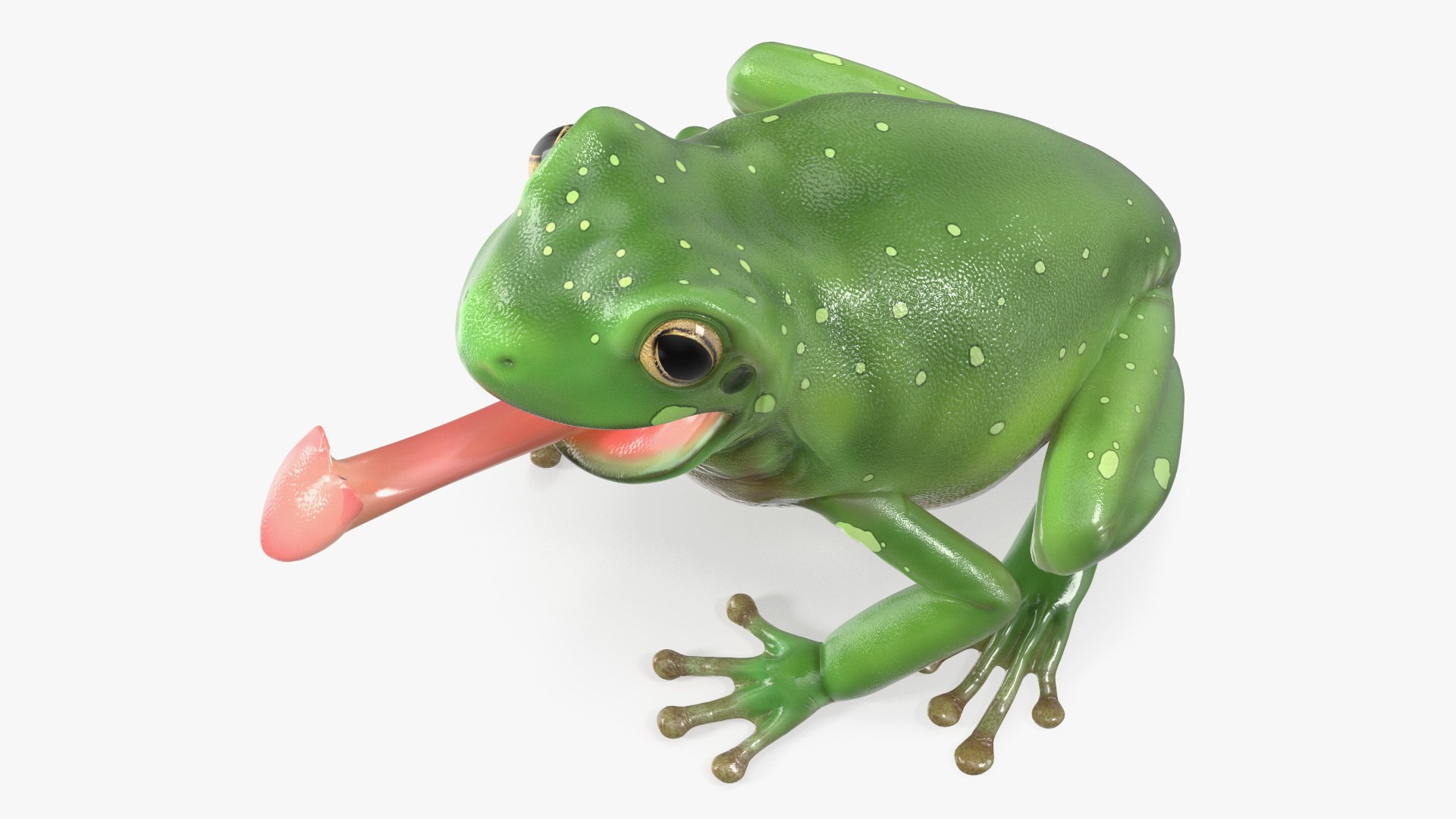 3D Australian Green Tree Frog With Extended Tongue Model - TurboSquid ...