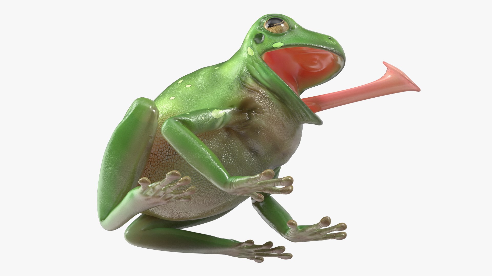 3D Australian Green Tree Frog With Extended Tongue Model - TurboSquid ...
