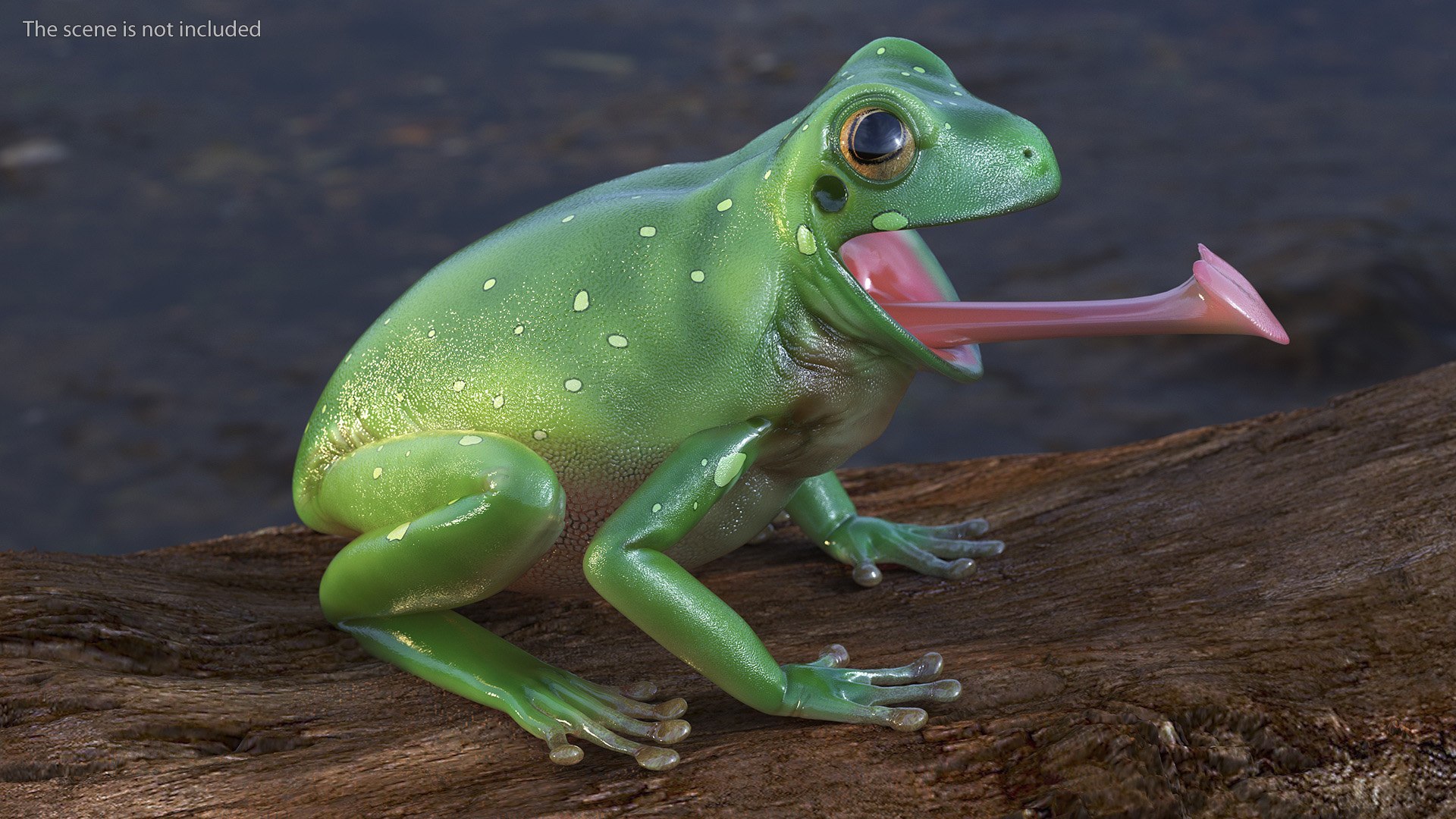 3D Australian Green Tree Frog With Extended Tongue Model - TurboSquid ...