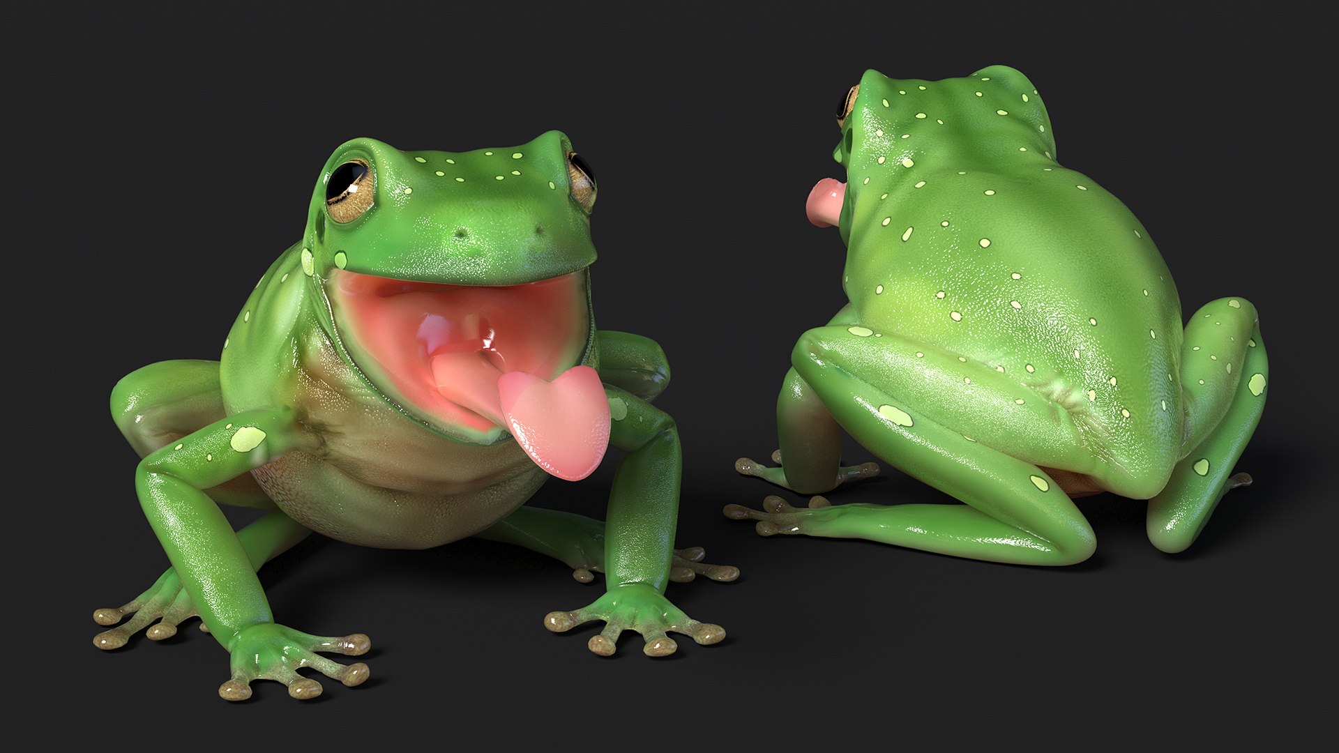 3D Australian Green Tree Frog With Extended Tongue Model - TurboSquid ...