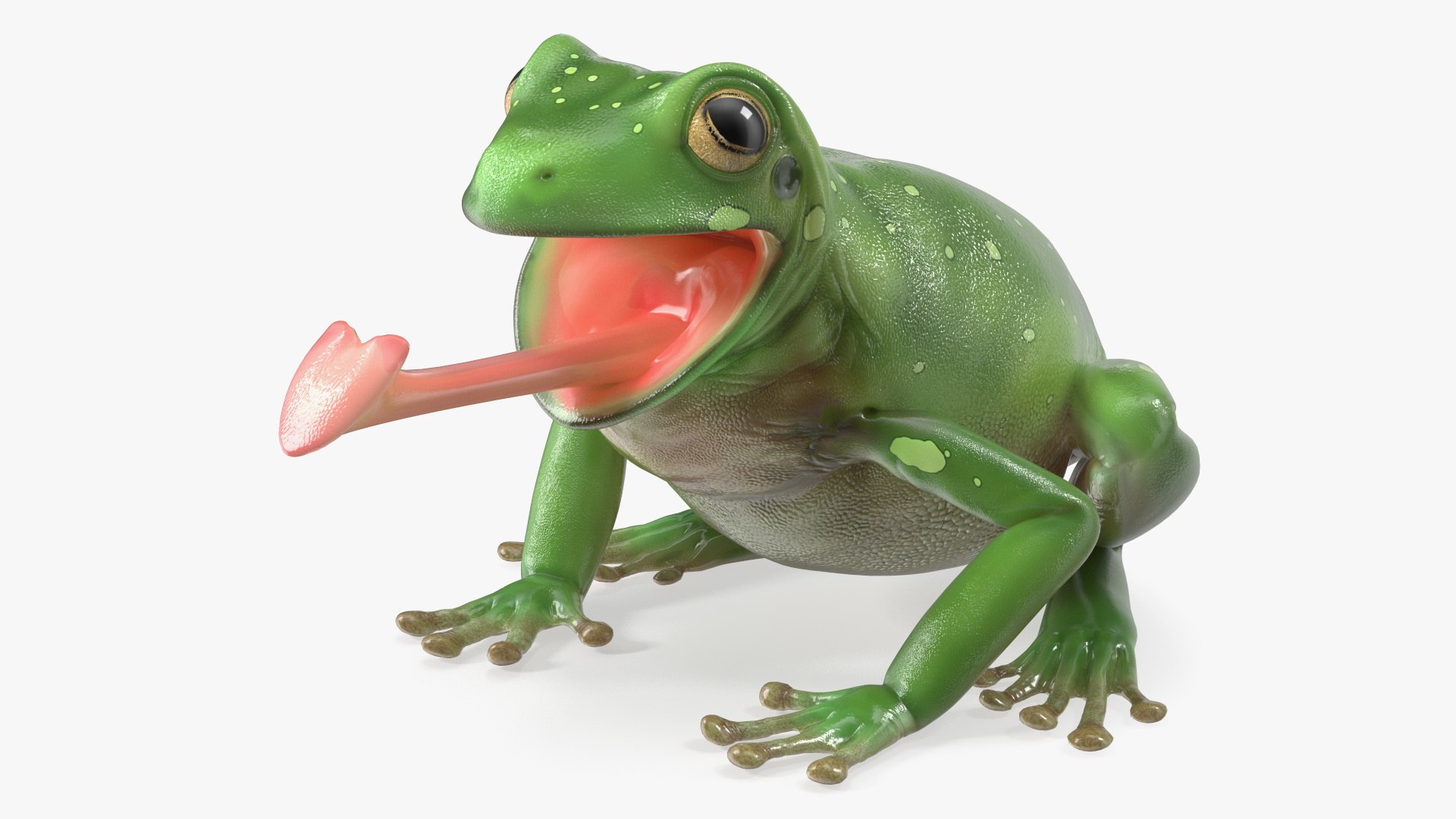 3D Australian Green Tree Frog With Extended Tongue Model - TurboSquid ...
