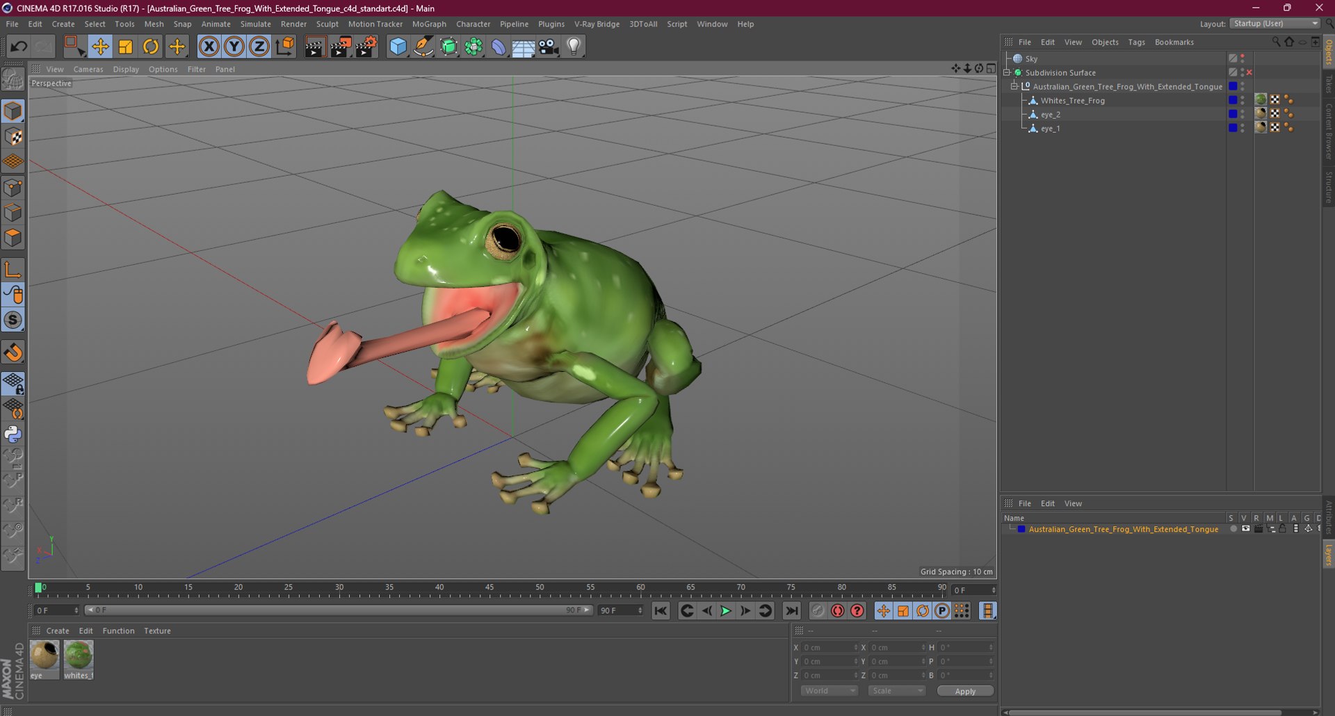3D Australian Green Tree Frog With Extended Tongue Model - TurboSquid ...