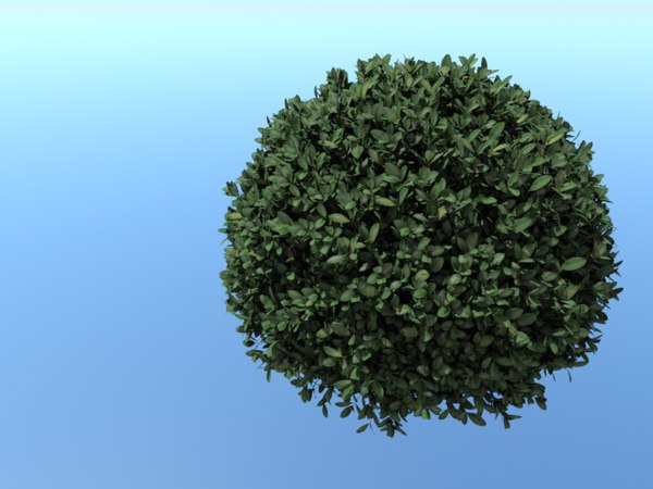 3D spherical tree model - TurboSquid 1273009