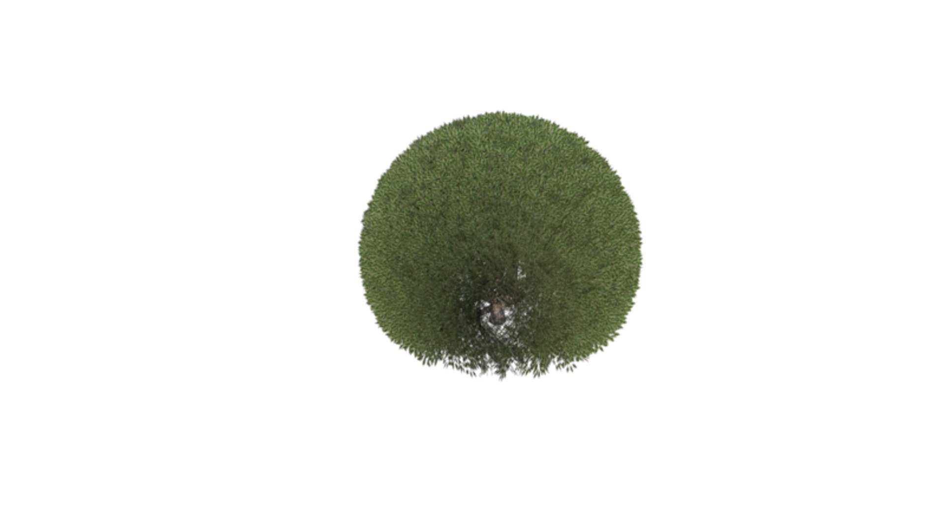 3D Spherical Tree Model - TurboSquid 1273009