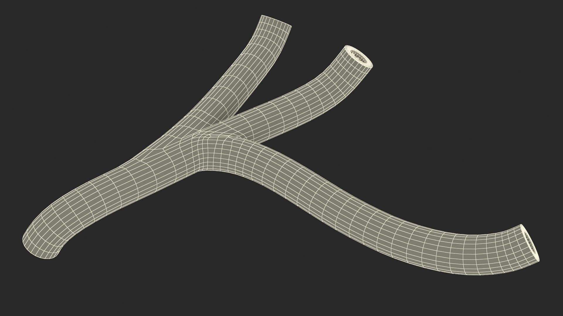 3D Human Arteries Model - TurboSquid 2330105