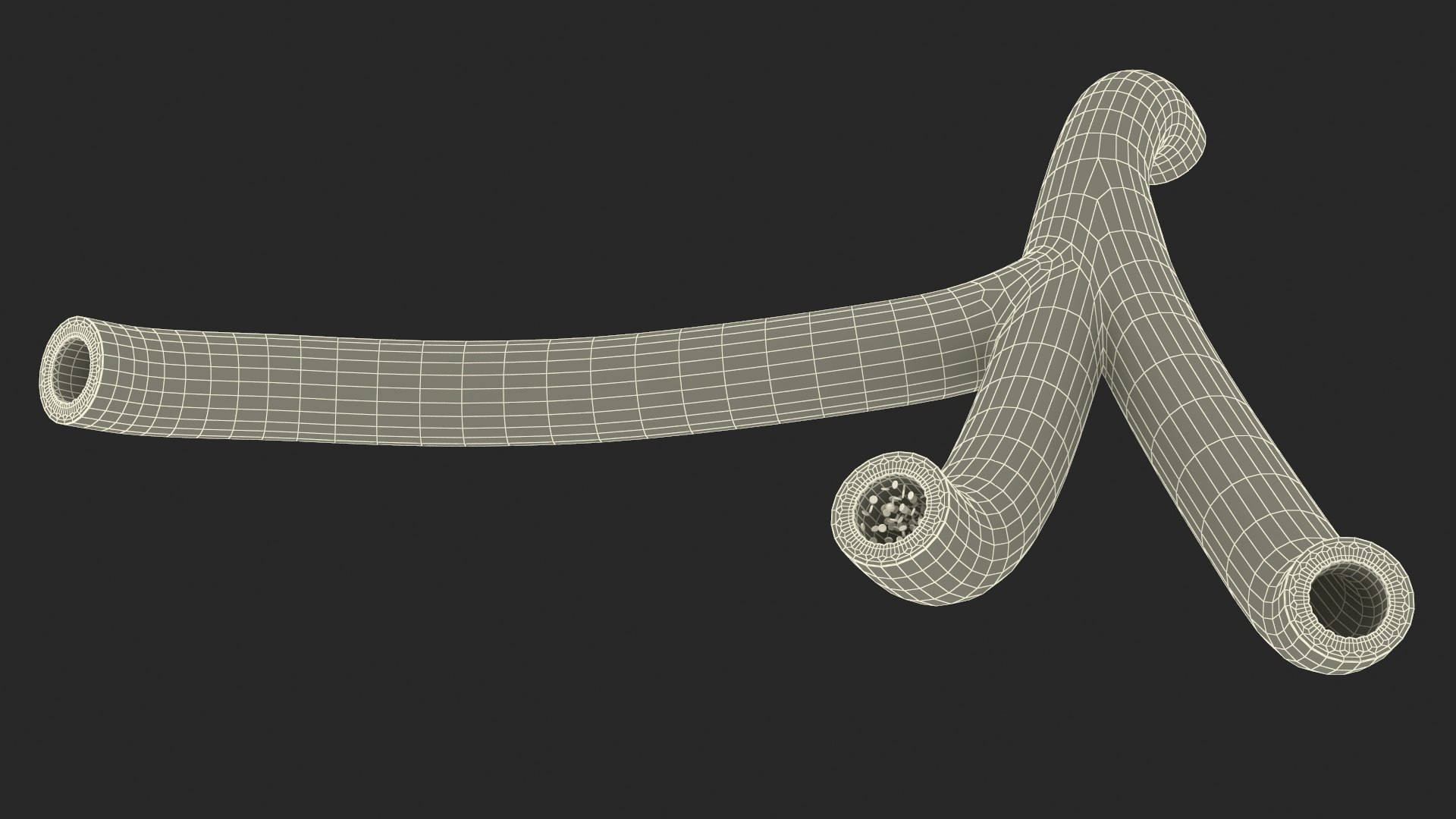 3D Human Arteries Model - TurboSquid 2330105